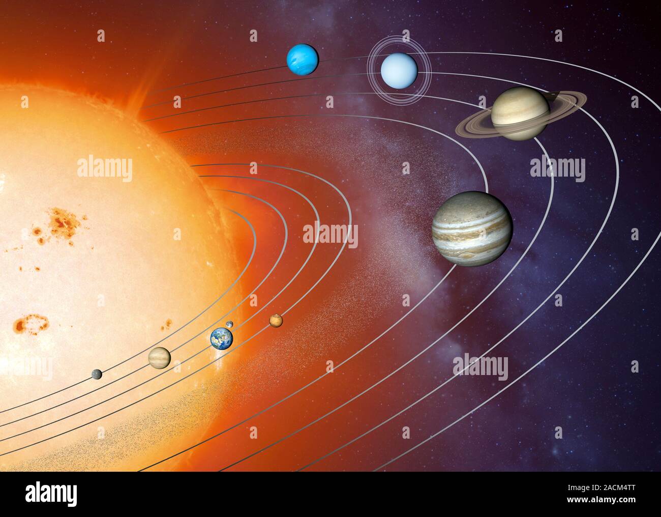 Solar System orbits. Artwork of Earth's solar system, showing the eight ...