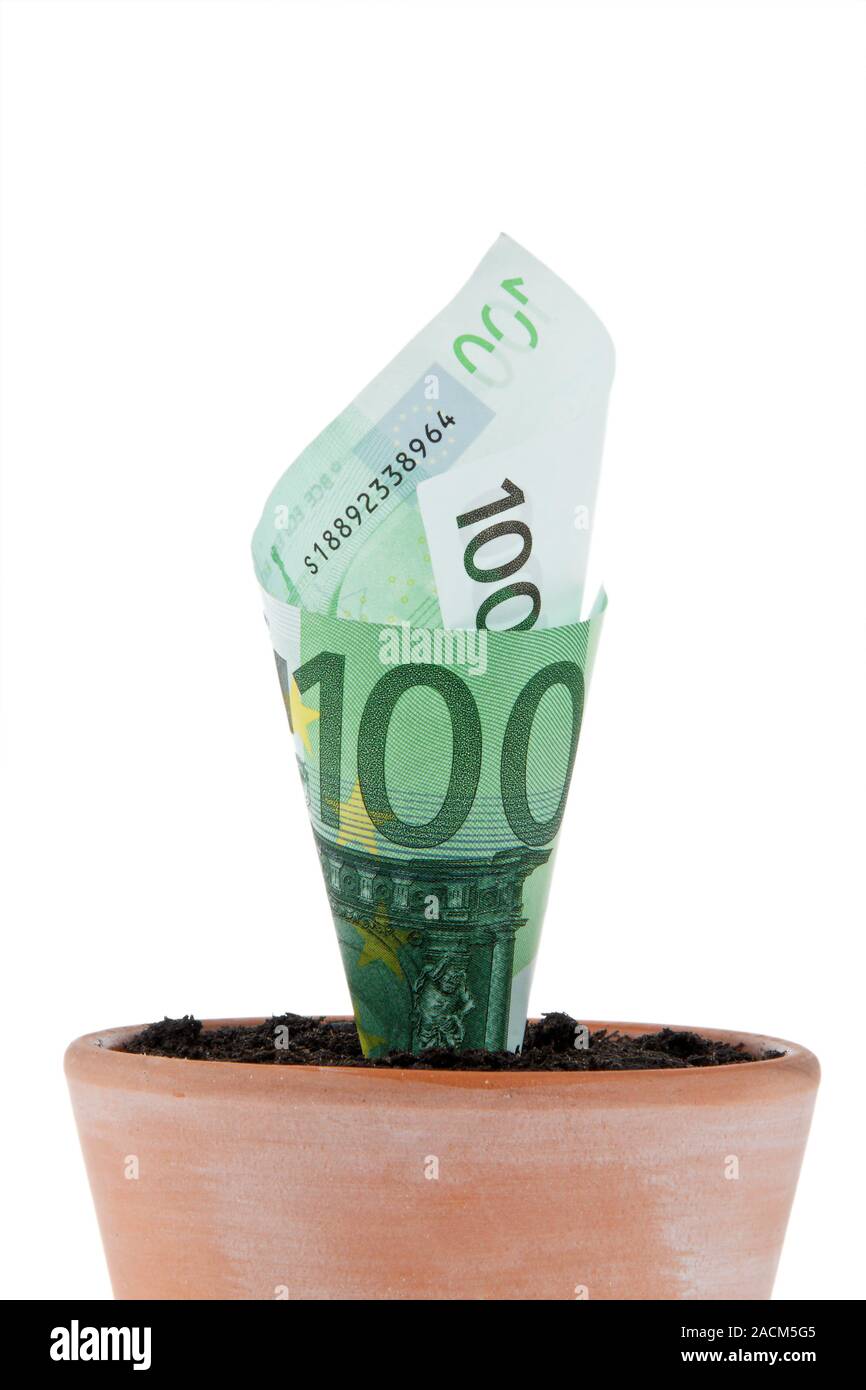 Euro banknote in flower pot. Interest, growth Stock Photo - Alamy