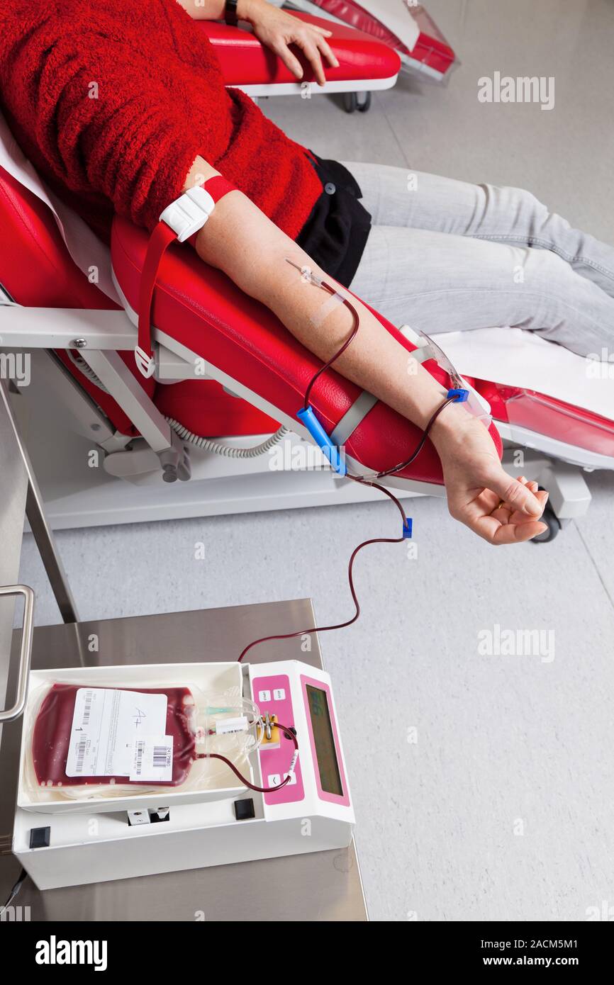 Blood collection during blood donation in a blood laboratory Stock ...