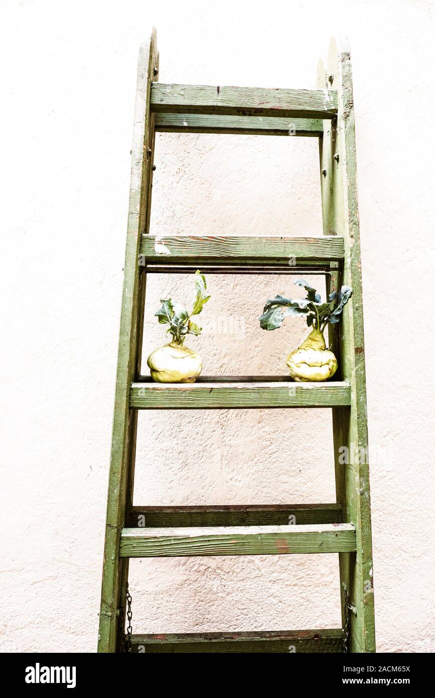 Propped up quirky hi-res stock photography and images - Alamy