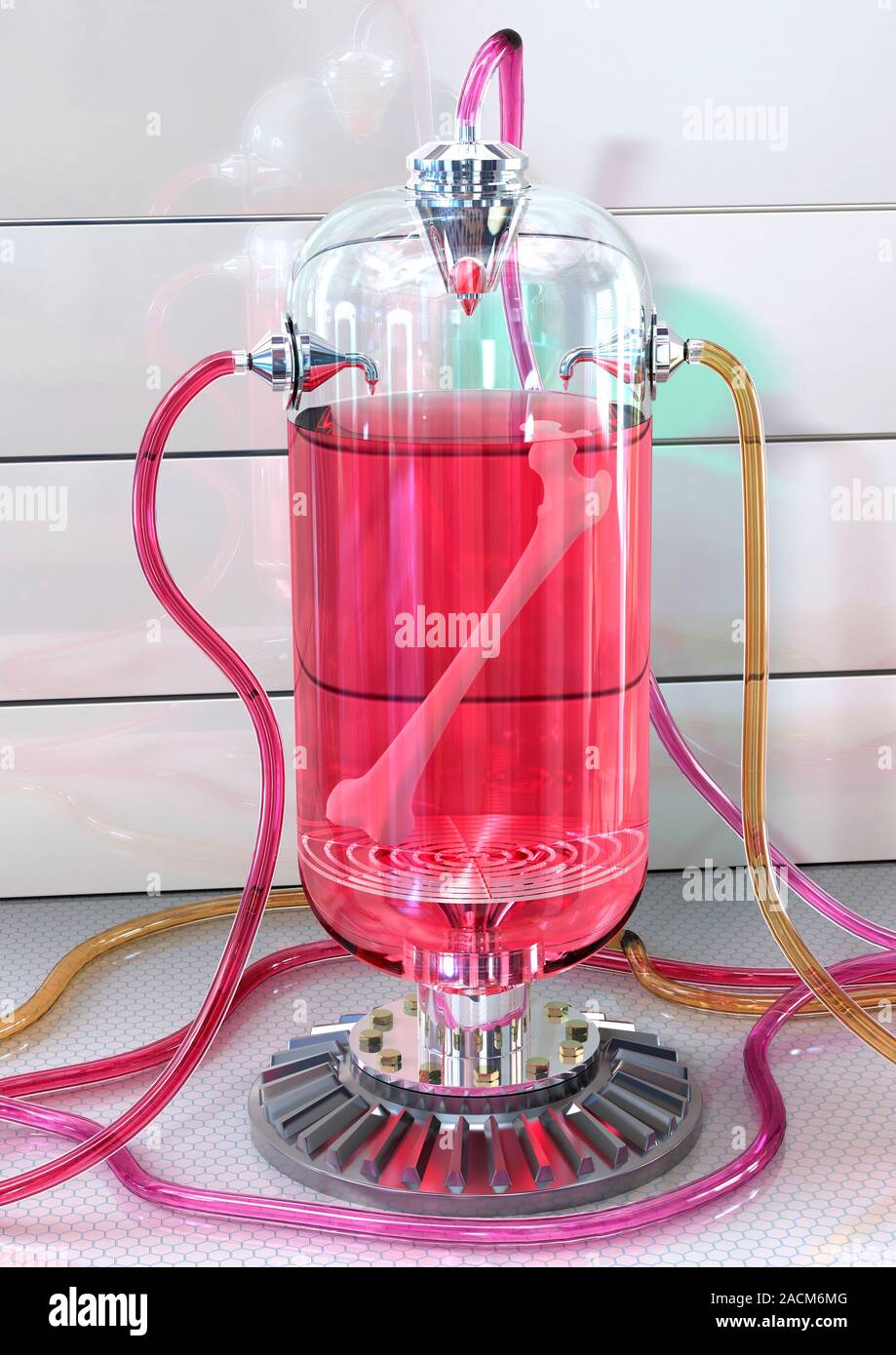 Tissue engineering, conceptual image. Computer artwork of a bone being ...