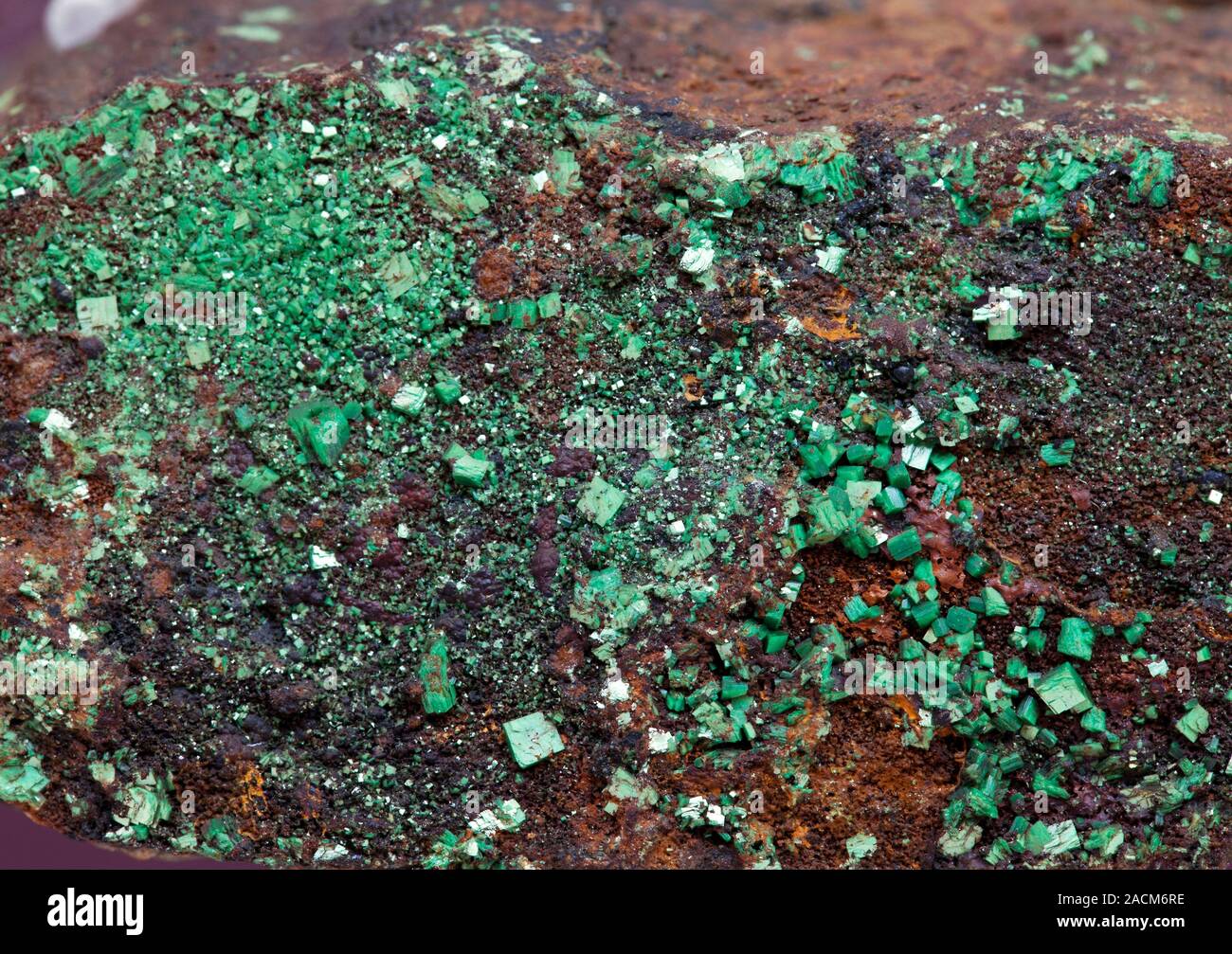Autunite. This radioactive uranium-bearing phosphate mineral has ...