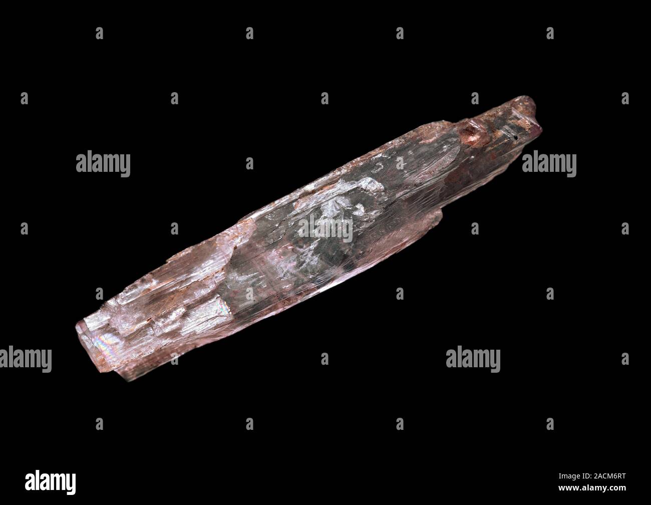 Kunzite crystal. Kinzite is a variety of spodumene, a pyroxene mineral ...