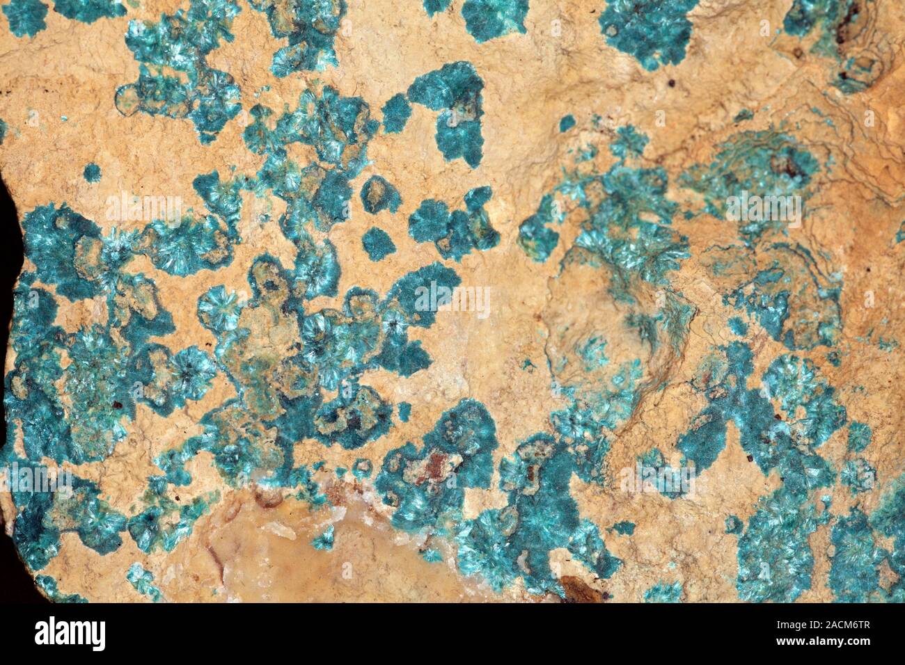 Serpierite. Close-up of crystals of the rare earth mineral serpierite ...