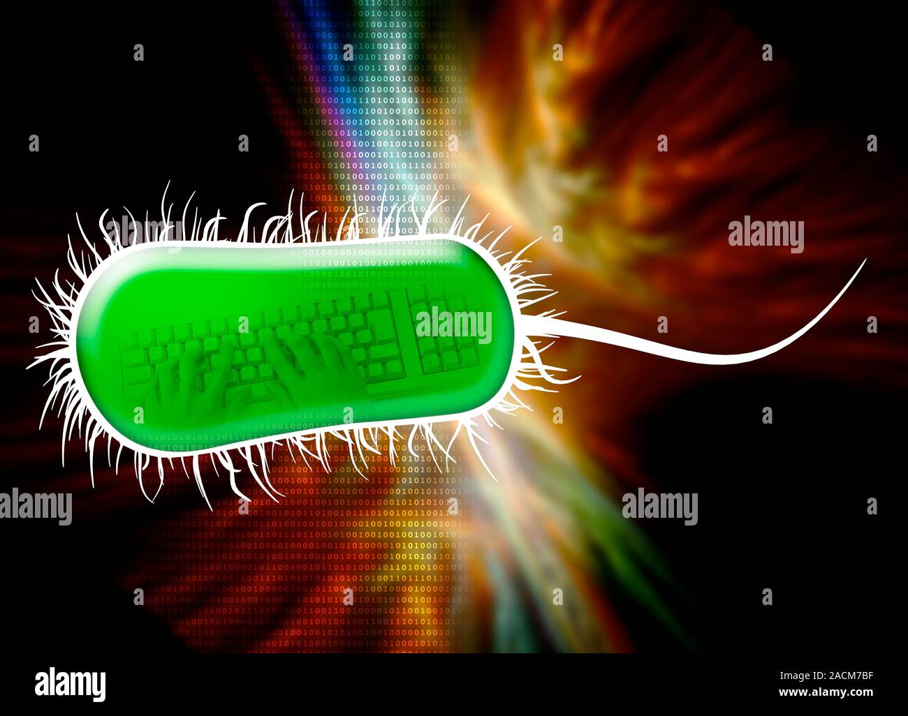 Bacterial Computing Conceptual Artwork Escherichia Coli Bacterium With Binary Code Zeros And