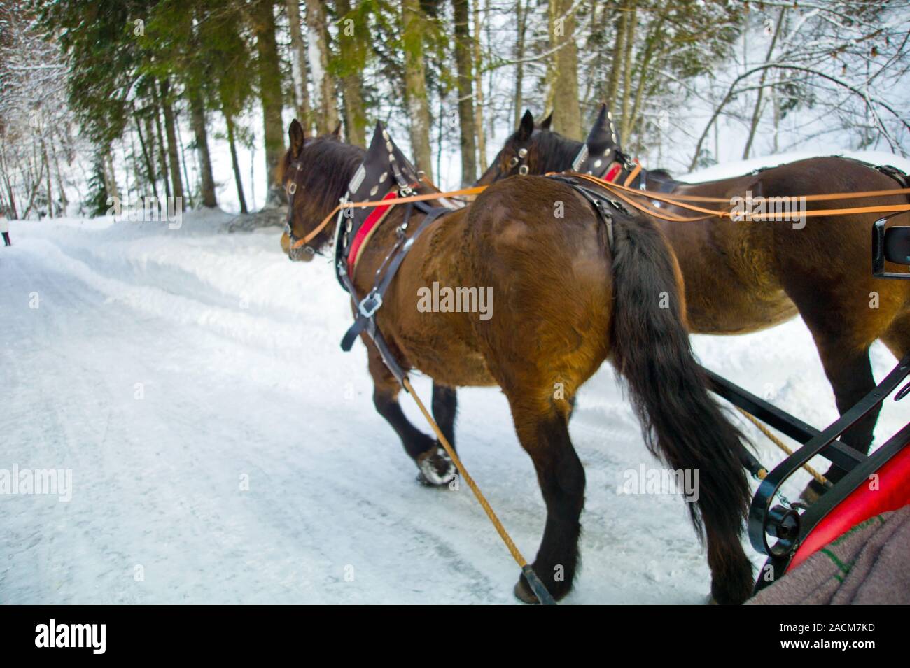 Horse drawn sleigh ride hi-res stock photography and images - Alamy