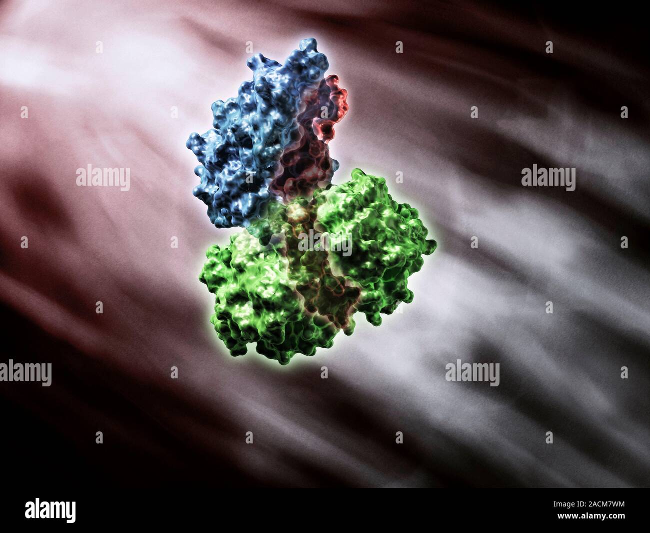 Cholera toxin, molecular structure. Cholera is an infectious intestinal ...