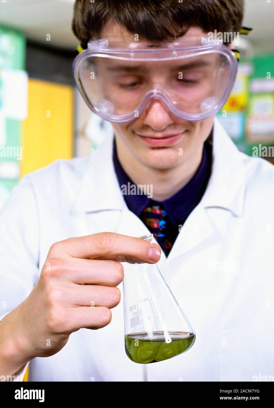 Universal indicator in a neutral solution in a conical flask being held ...