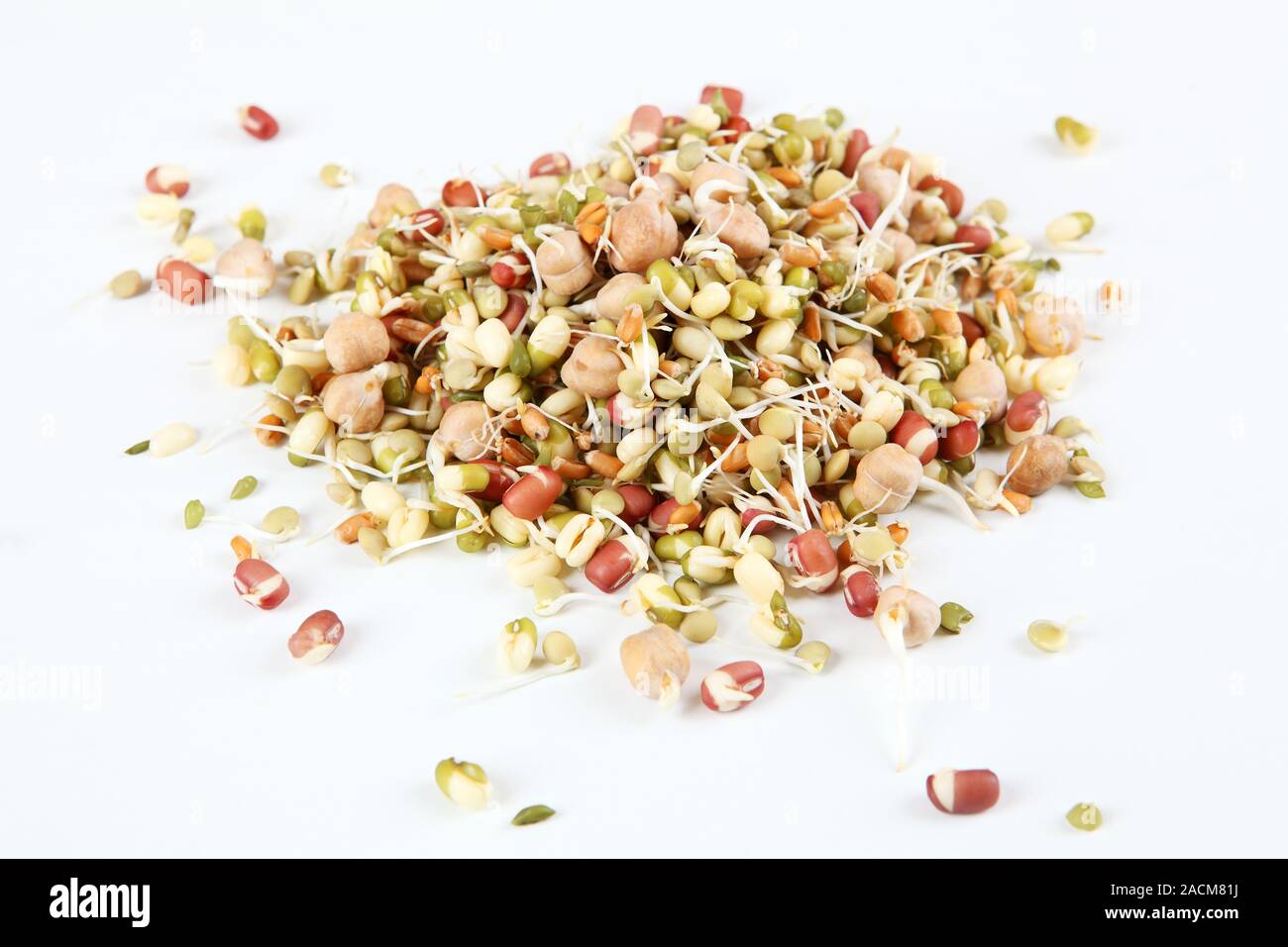Germs sprouts hi-res stock photography and images - Alamy