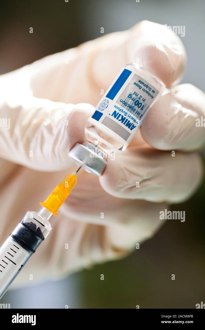 Amikin tuberculosis (TB) drug being drawn into a syringe. This drug is ...