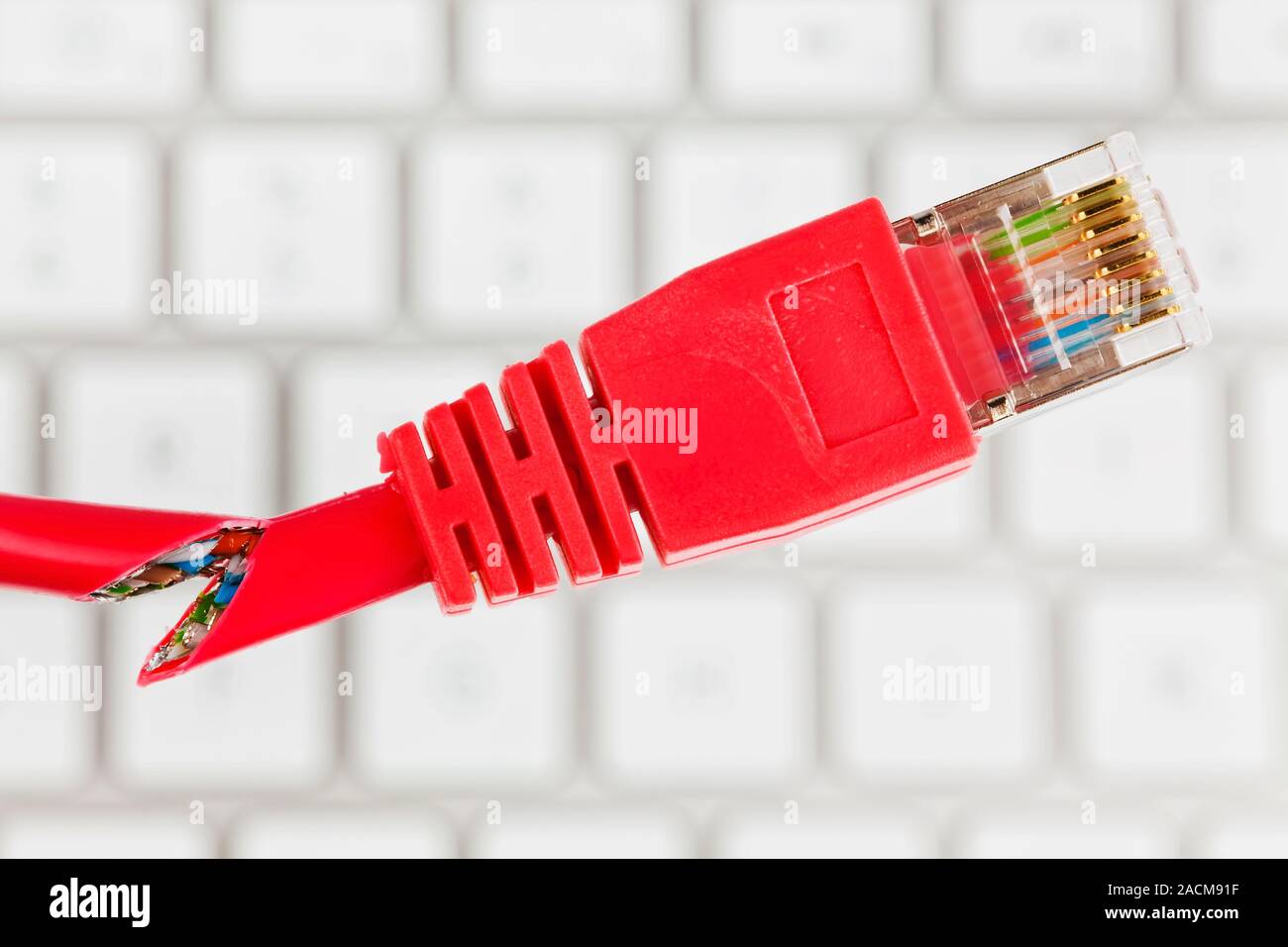 Network cable of a computer Stock Photo - Alamy