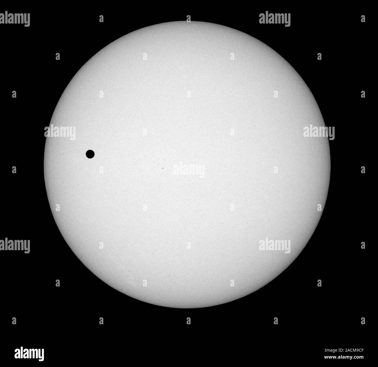 Venus transiting the Sun. Telescope image showing Venus (black disc ...