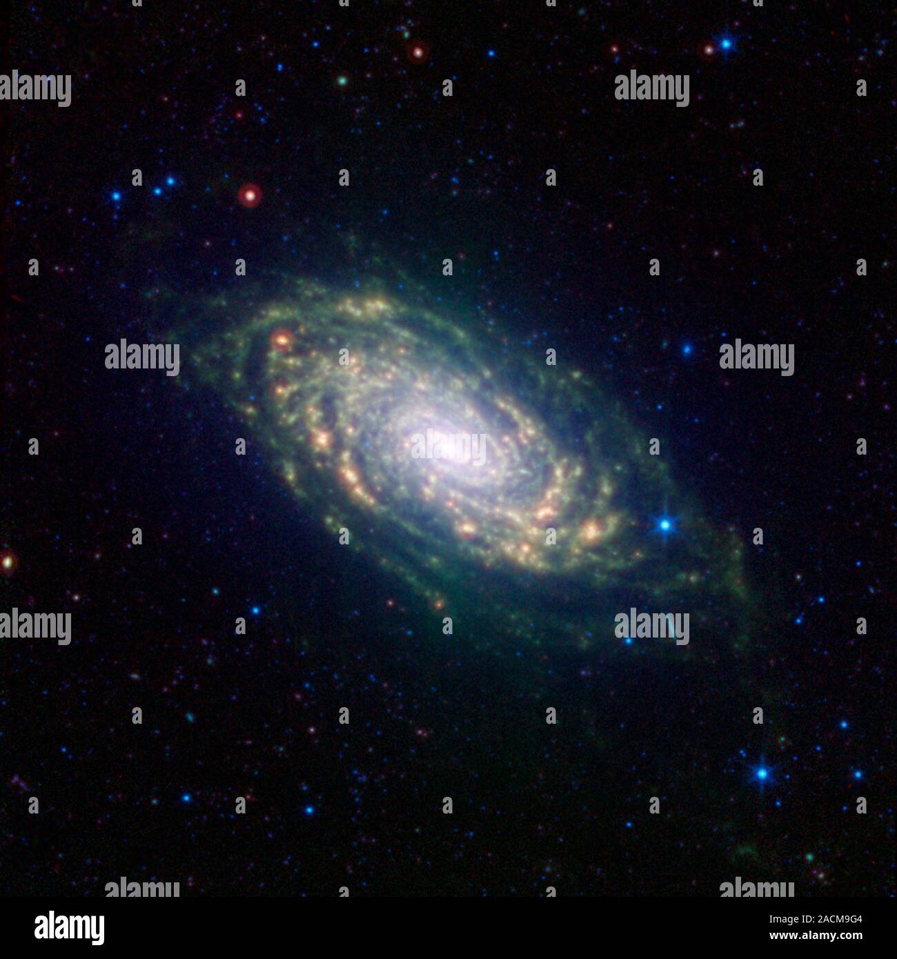 Sunflower Galaxy (M63, NGC 5055), infrared image. This spiral galaxy is ...