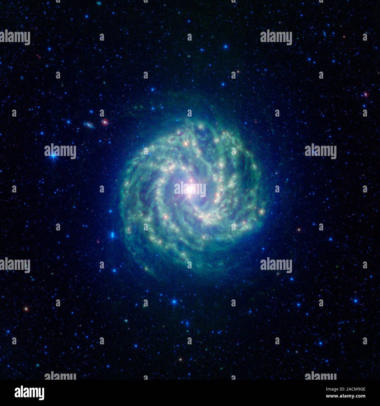 Southern Pinwheel Galaxy (M83), infrared image. This spiral galaxy is ...