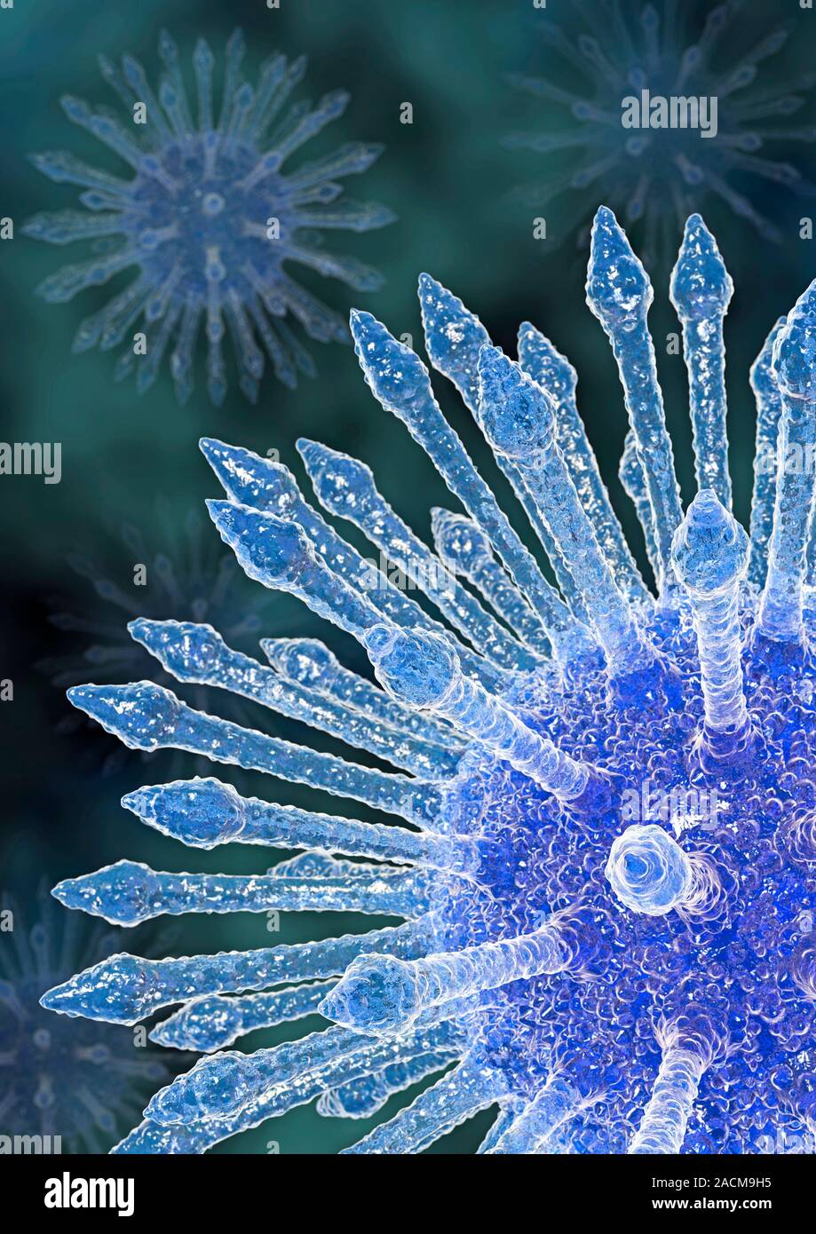 HIV particles, computer artwork. HIV (human immunodeficiency virus) is ...