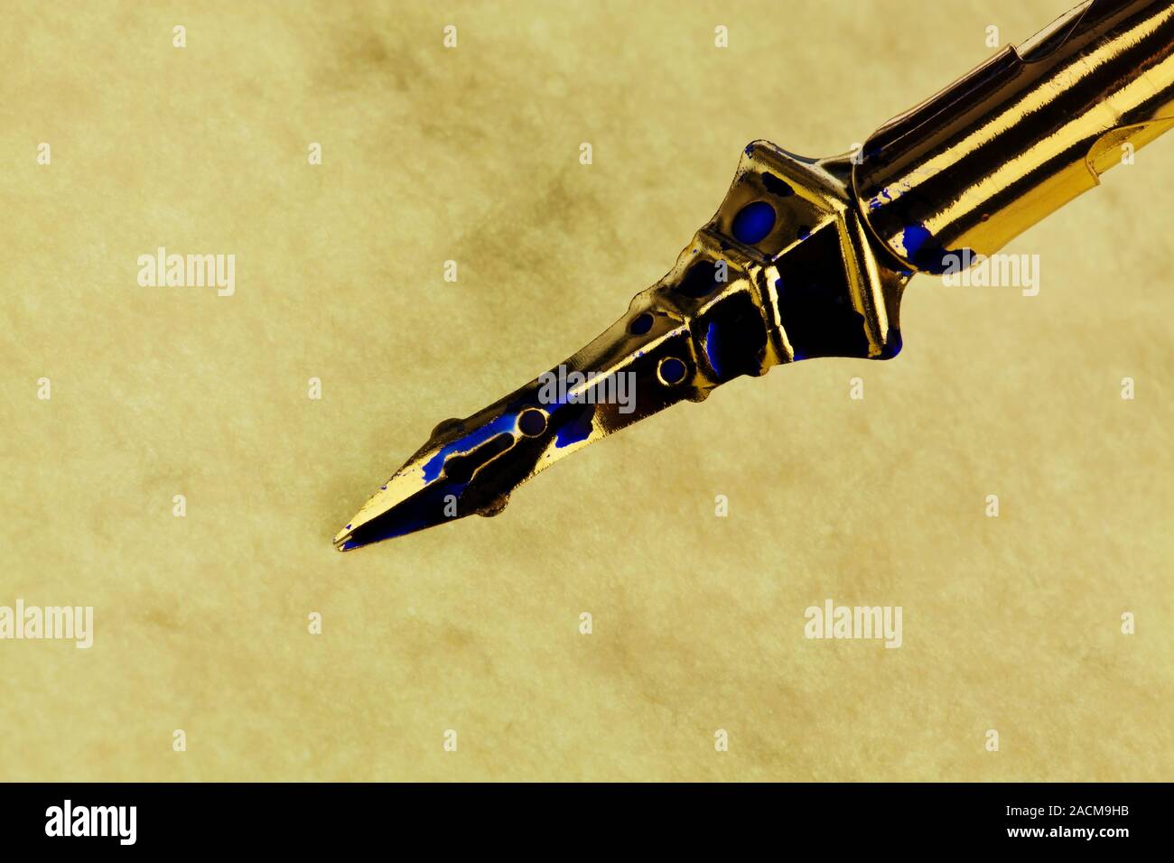 Blue quill feather Stock Photo - Alamy