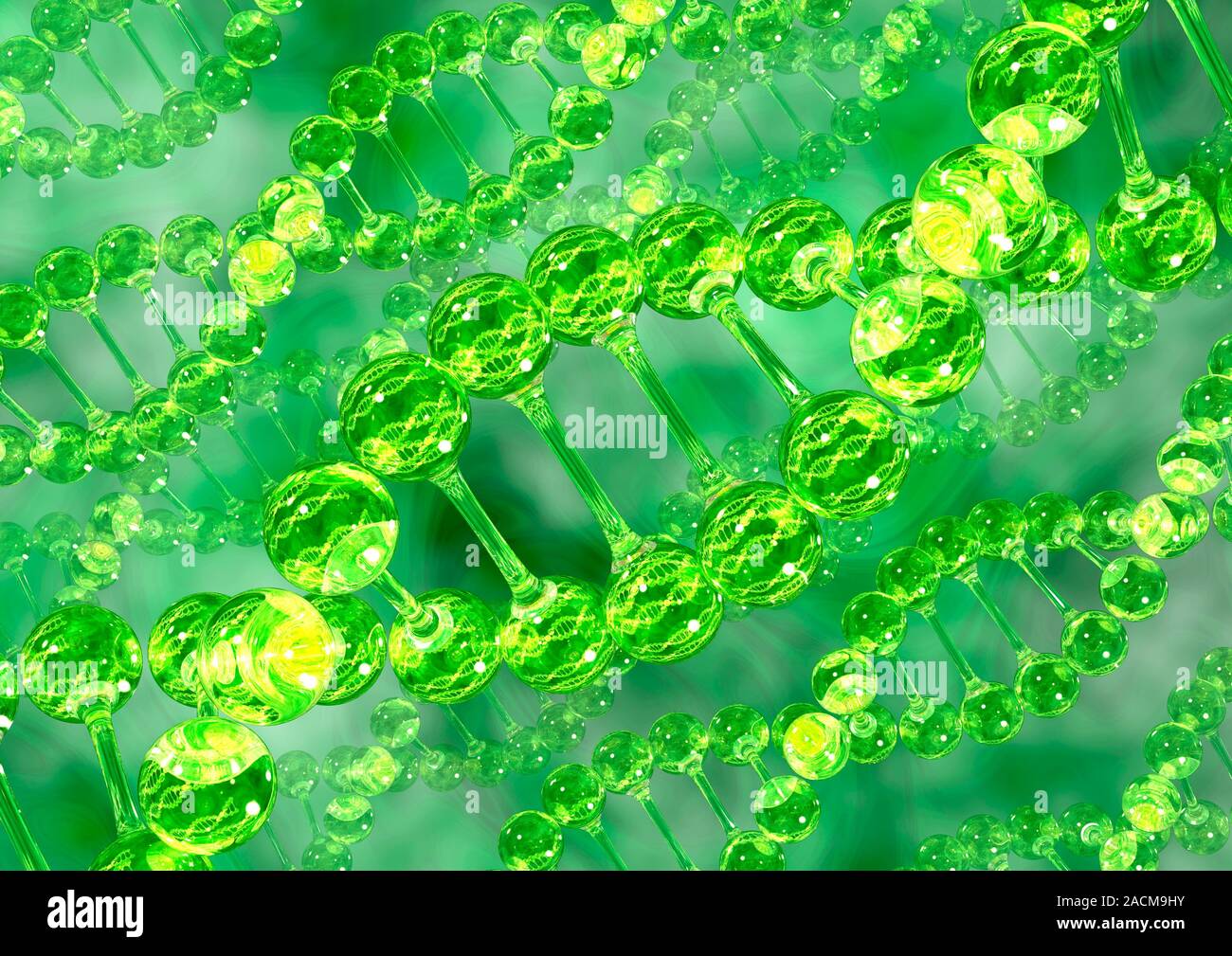DNA molecules. Computer artwork showing double stranded DNA ...