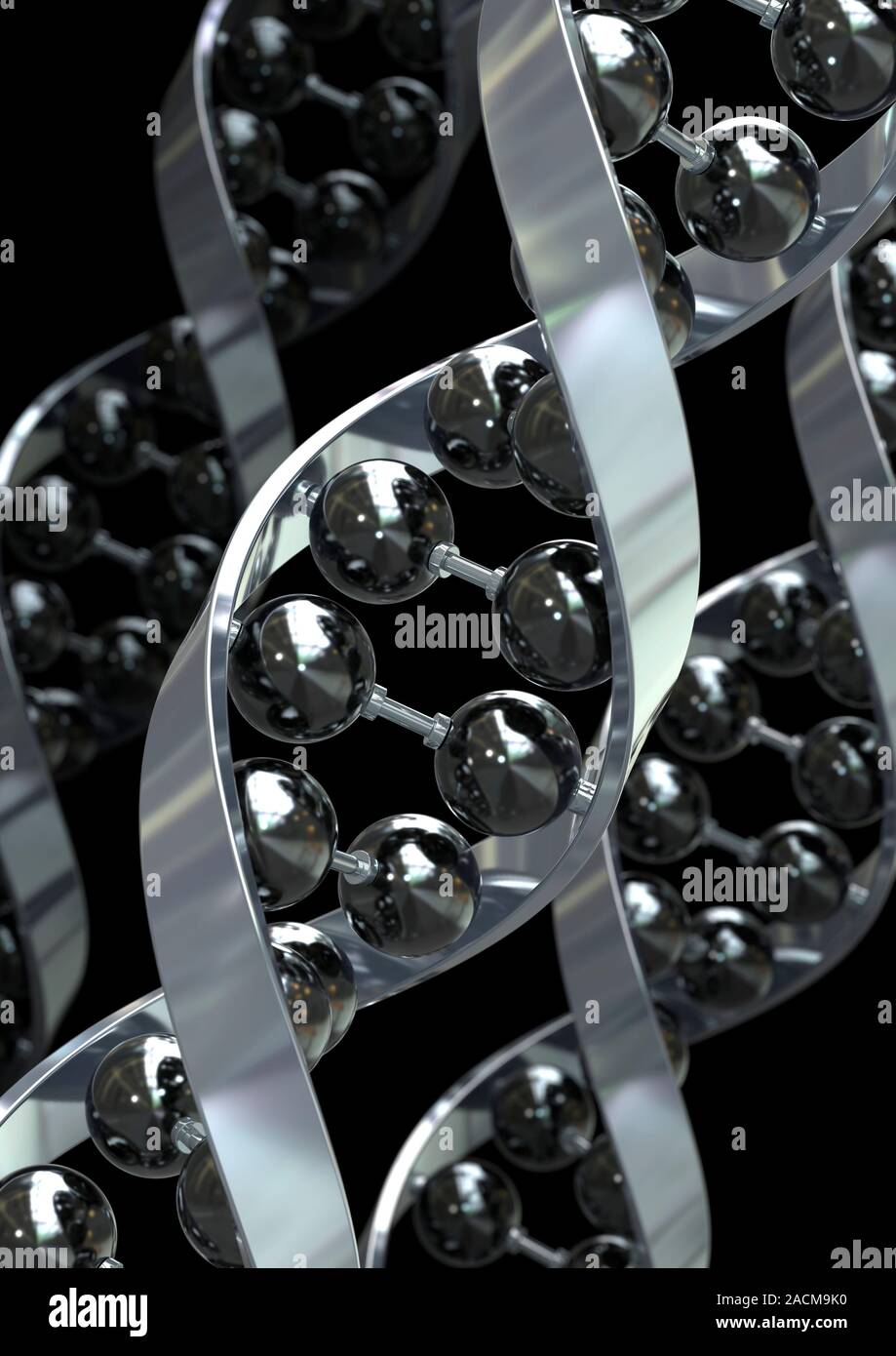 DNA molecules. Computer artwork showing double stranded DNA ...