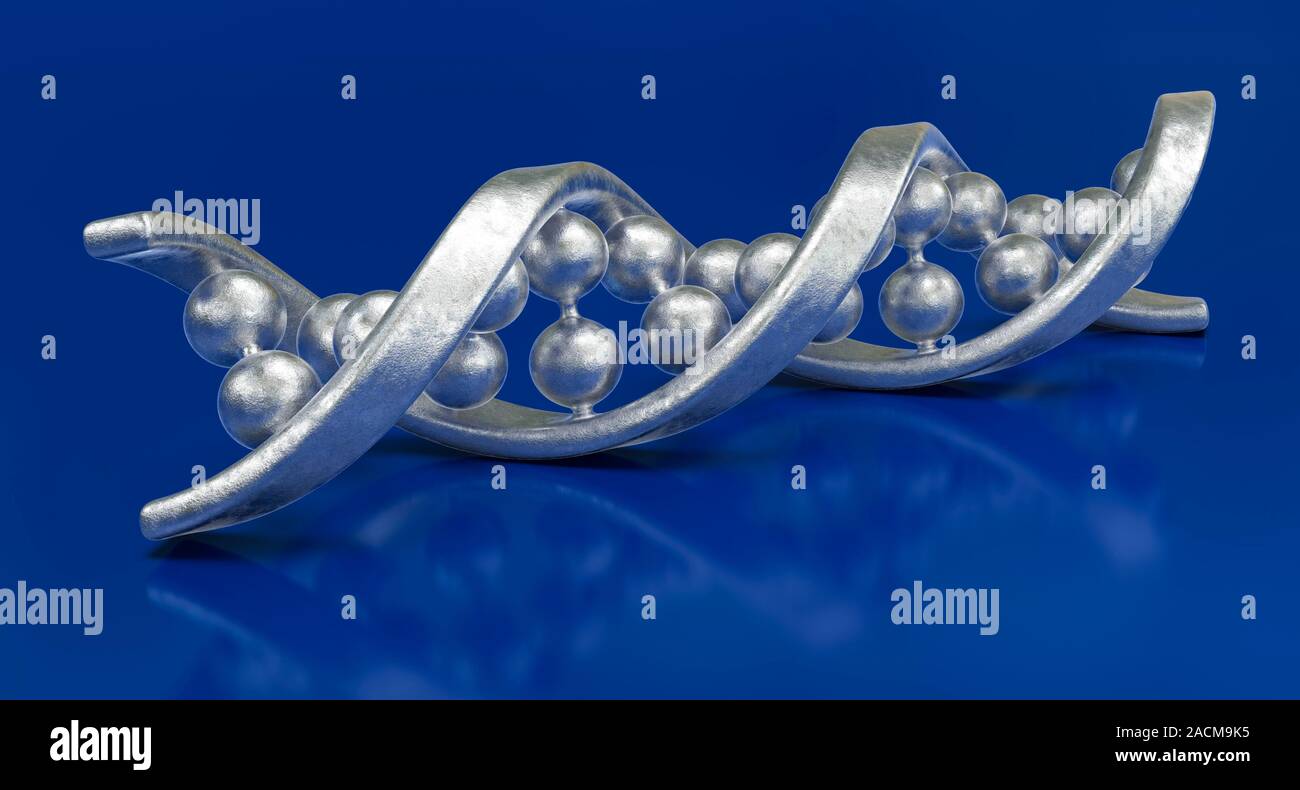 DNA molecule. Computer artwork showing a double stranded DNA ...