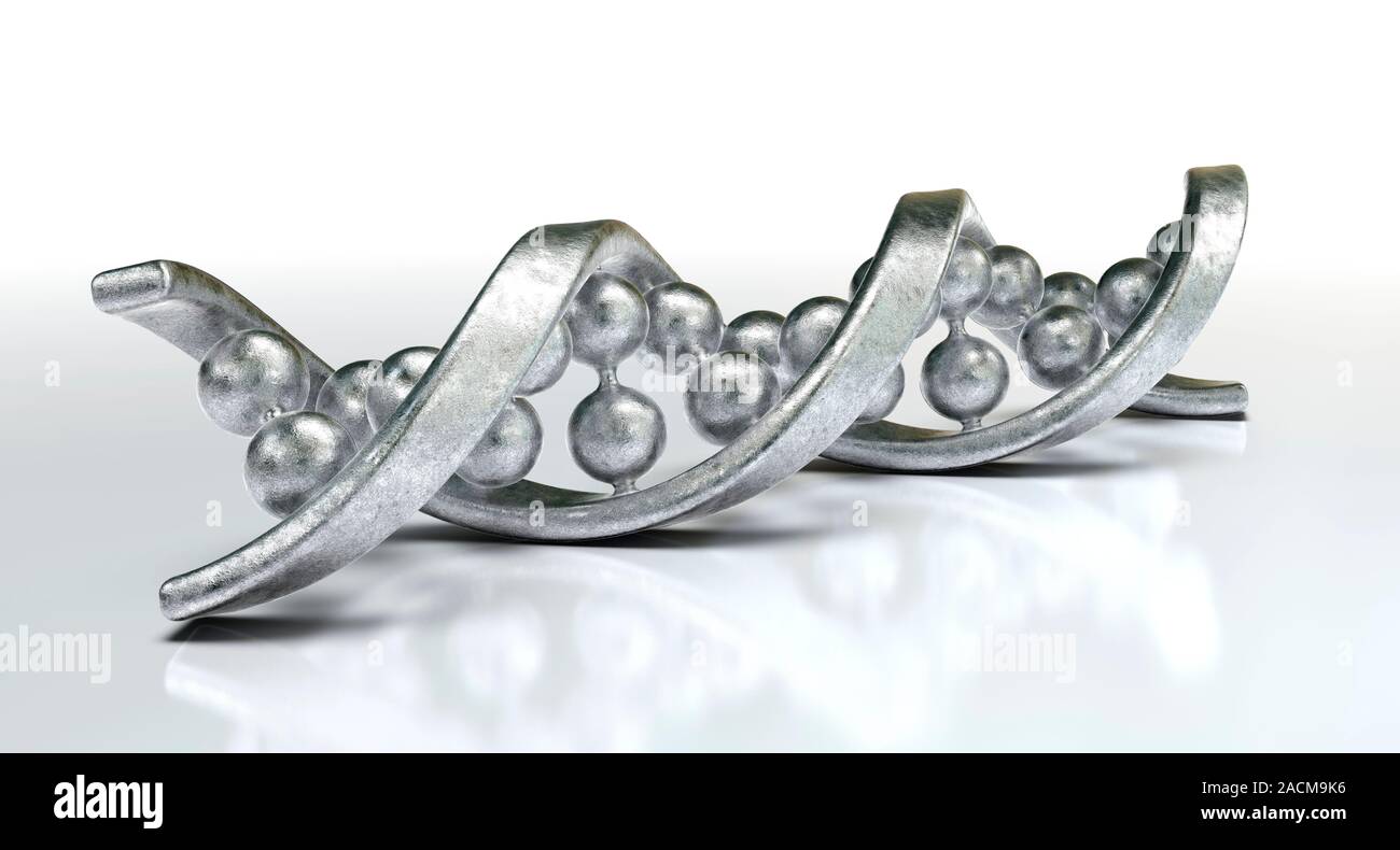 DNA molecule. Computer artwork showing a double stranded DNA ...