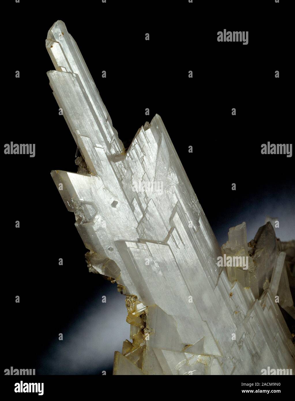 Gypsum crystals. Close-up of large crystals of the mineral gypsum. This ...
