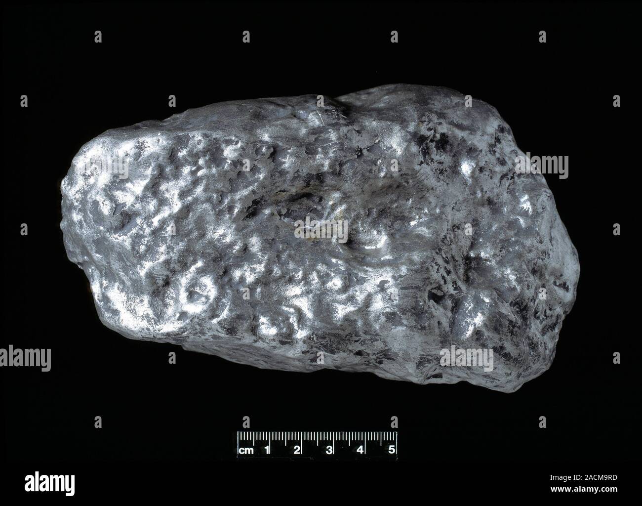 Platinum nugget. Reconstruction of a large platinum nugget. This ...
