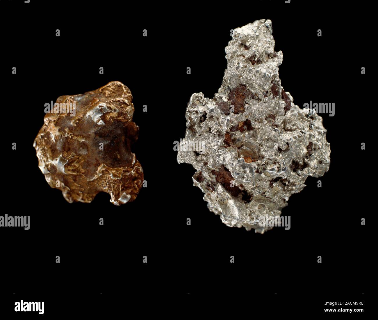 Platinum nuggets. Two large nuggets of the precious metal platinum ...