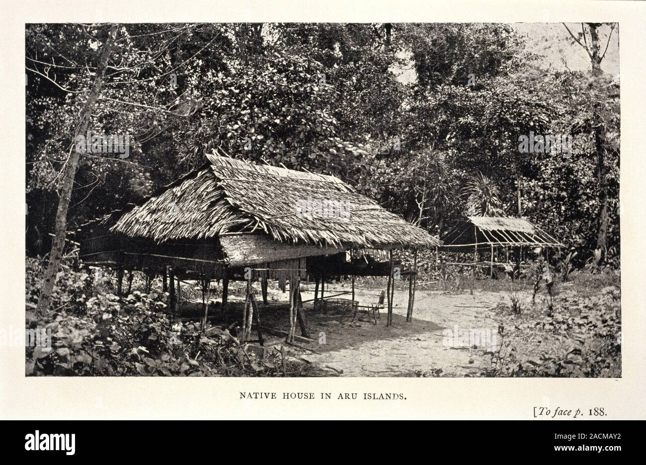 Native house in the Aru Islands, Indonesia. From 'My Life - A record of ...