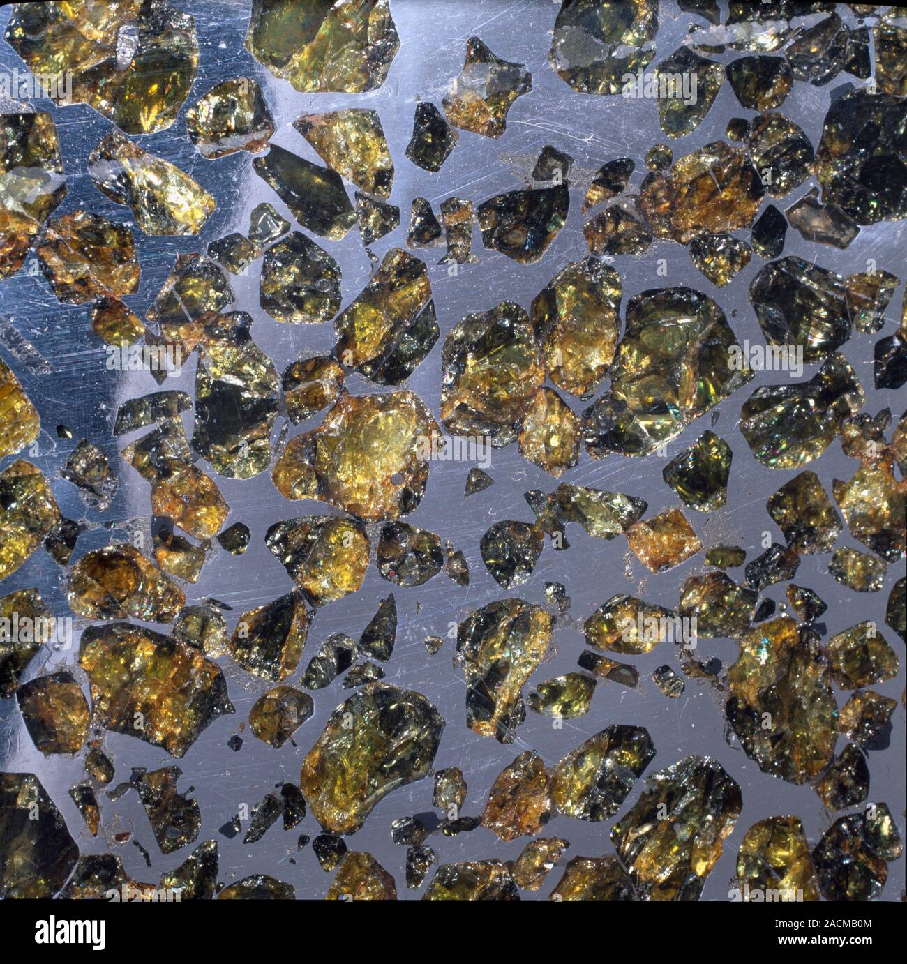 Pallasite meteorite. Close-up of the cut surface of a pallasite ...