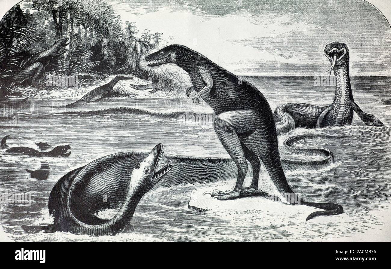 Laelaps (Dryptosaurus) confronting Elasmosaurus with Hadrosaurus ...