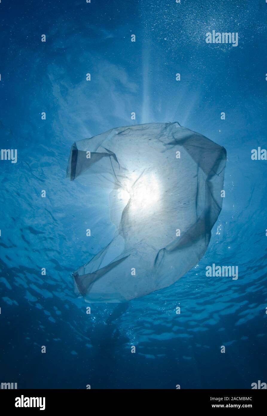 Plastic bag in the ocean. Discarded plastic bags such as this are often ...