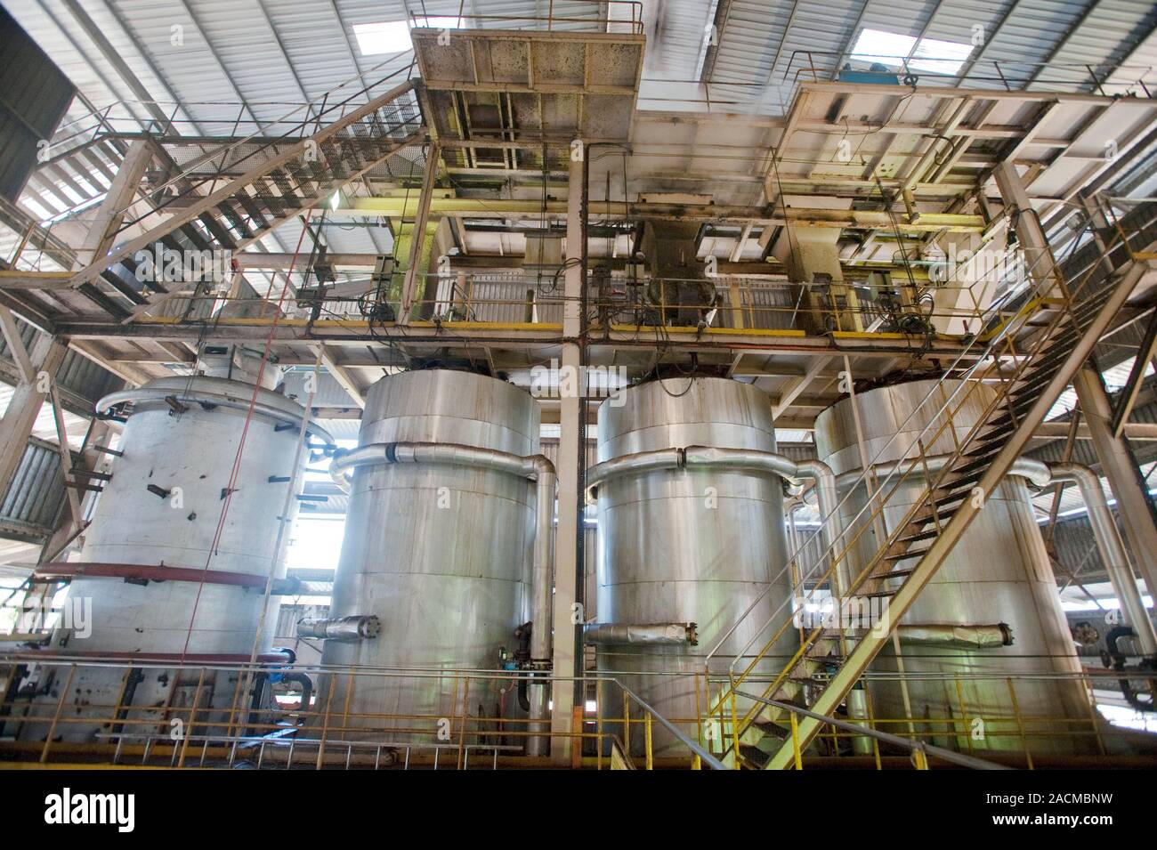 Oil palm processing factory. This factory processes the fruit of the ...