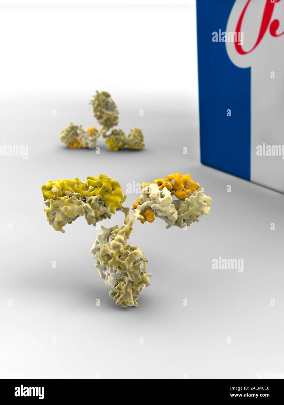 Immunoglobulin antibody molecule. Computer model showing the molecular ...