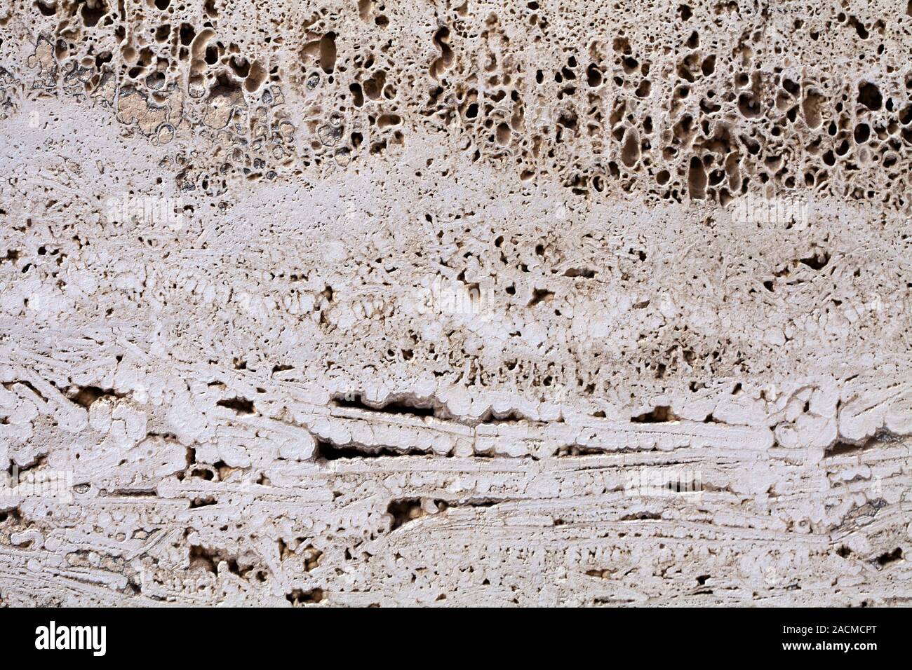 Travertine. Close-up of a sample of travertine, a form of limestone ...