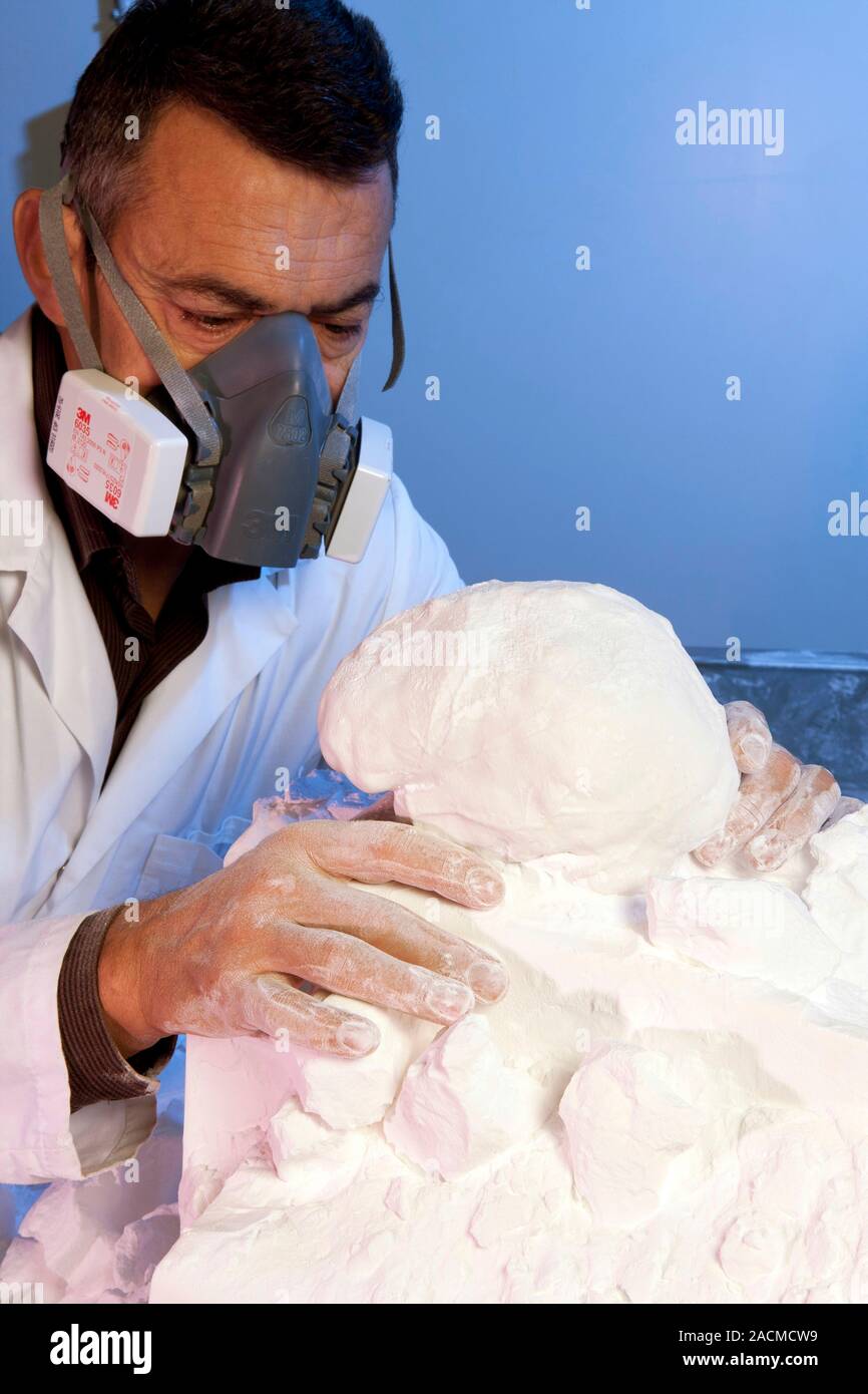 Cro-Magnon fossil skull endocast, being examined by a researcher. This ...