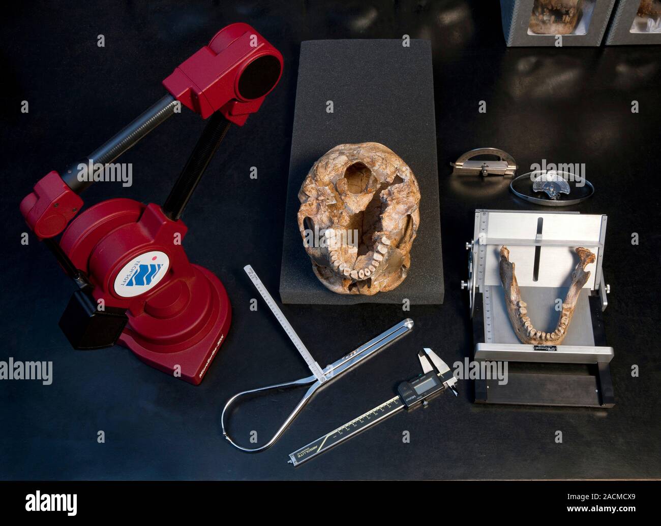Neanderthal research. TechSoft device and other tools for making ...