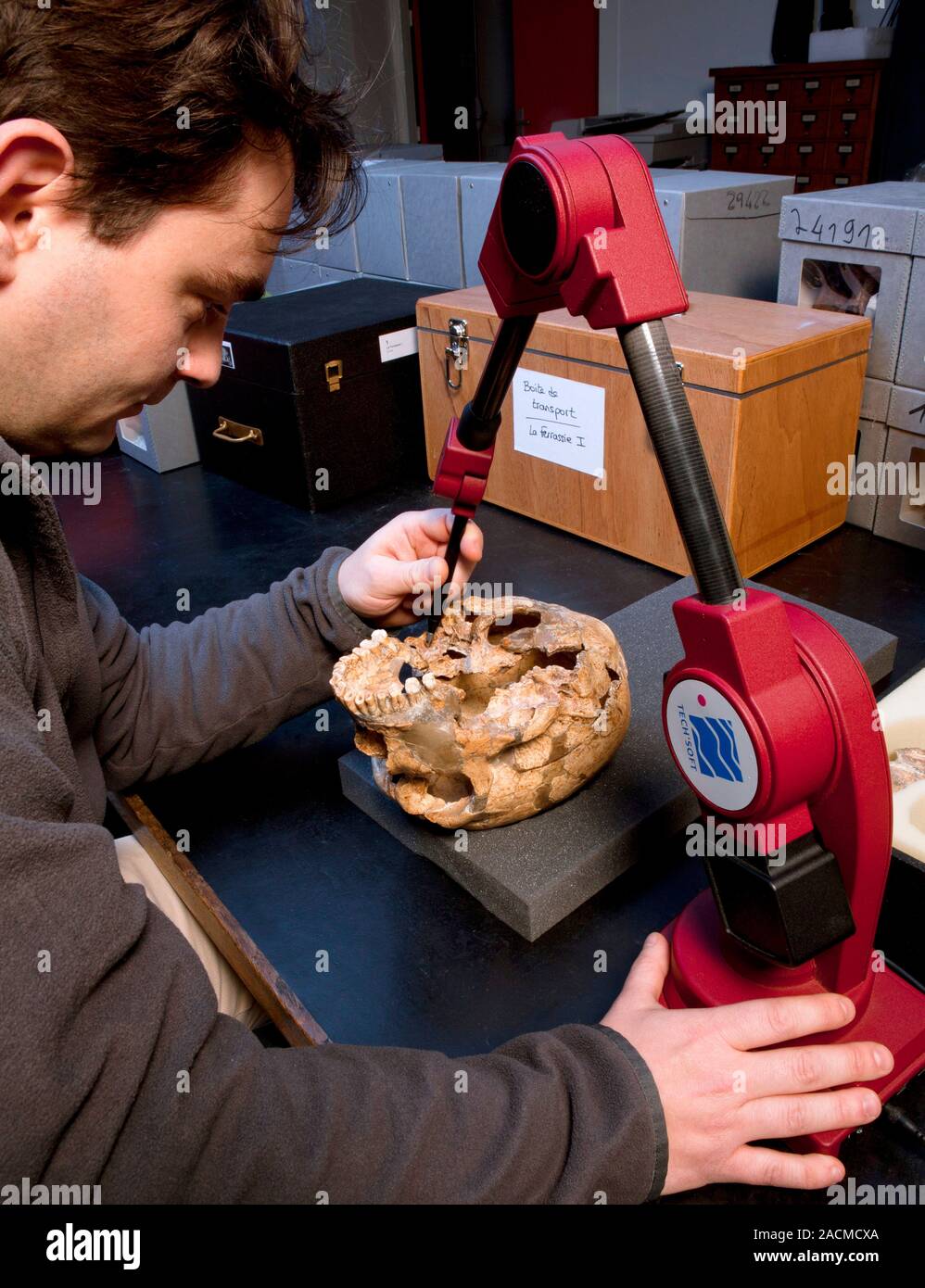 Neanderthal research. Researcher using a TechSoft device to make ...