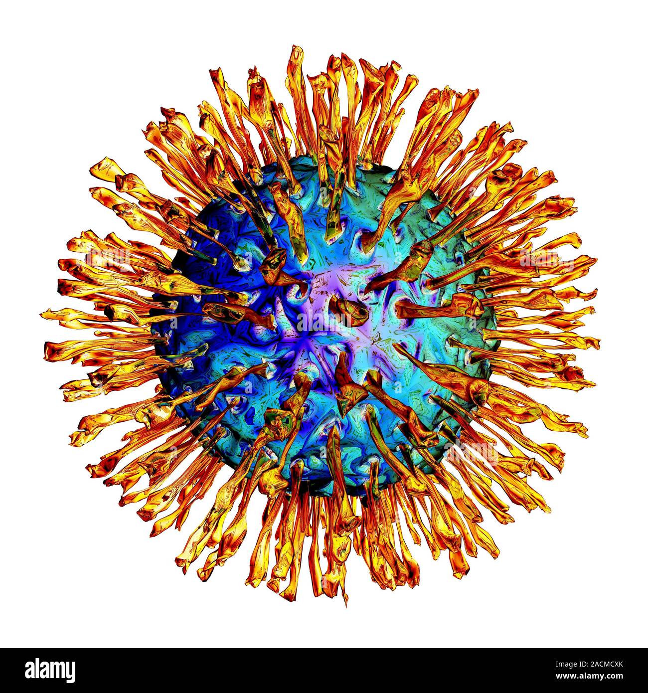 Herpes virus. Computer artwork of a herpes virus particle (virion ...