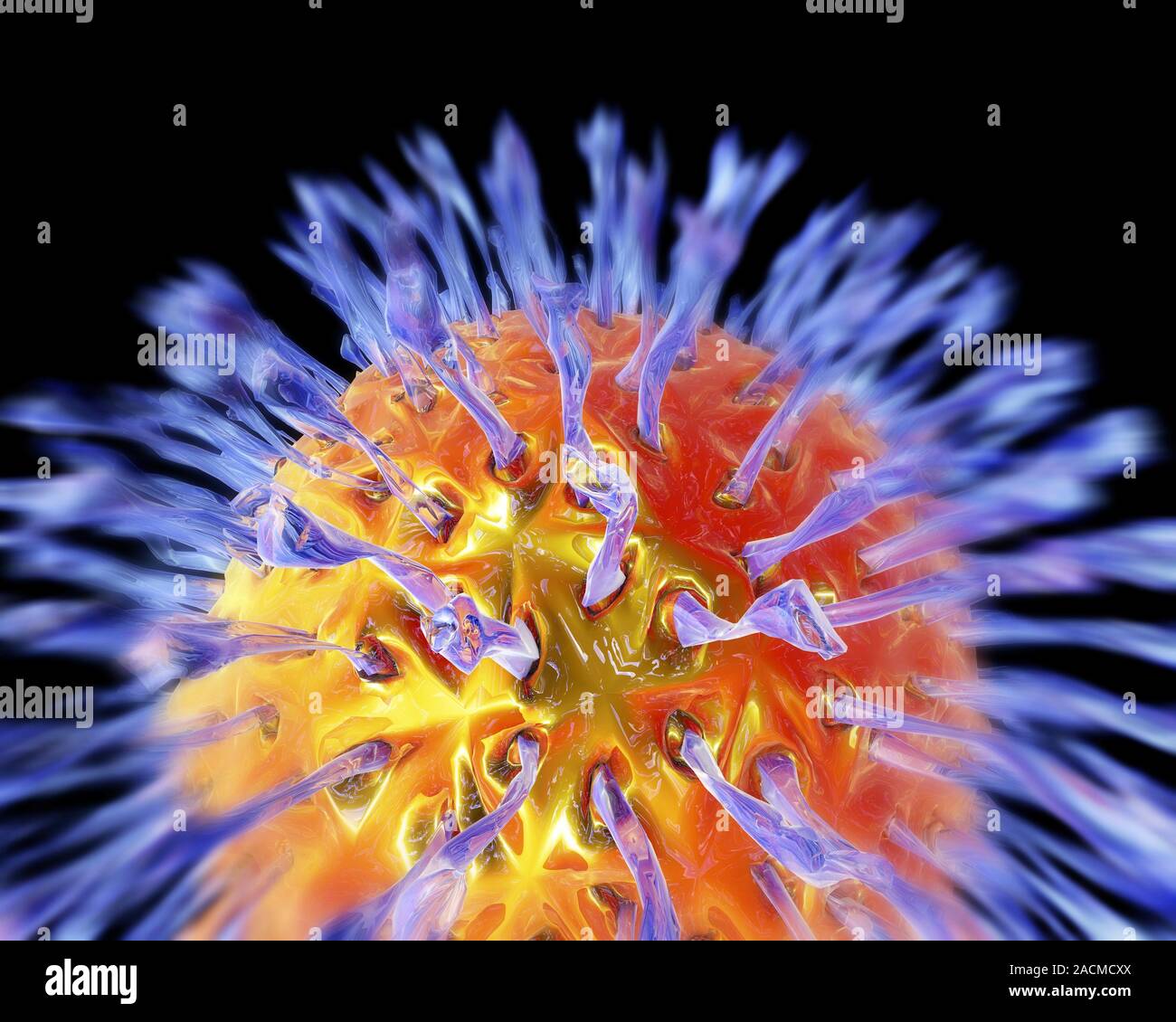 Herpes virus. Computer artwork of a herpes virus particle (virion ...