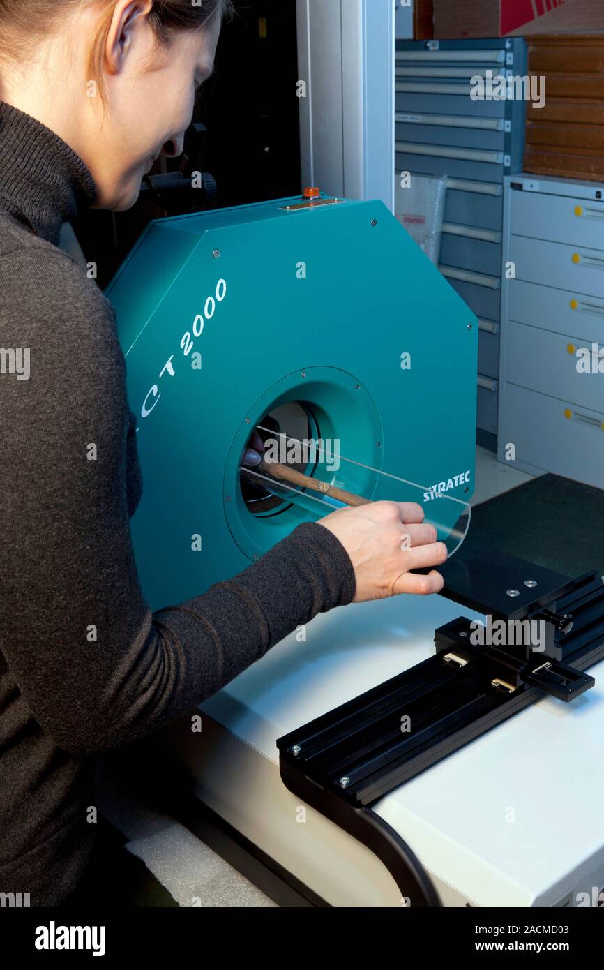 Scanning human fossil bone. German anthropologist using a peripheral ...