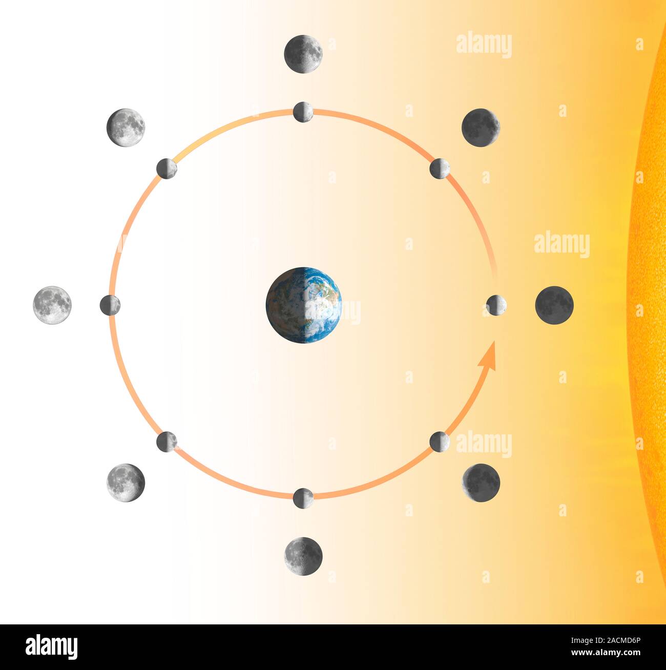 Phases of the Moon, computer illustration. As the Moon orbits the Earth ...