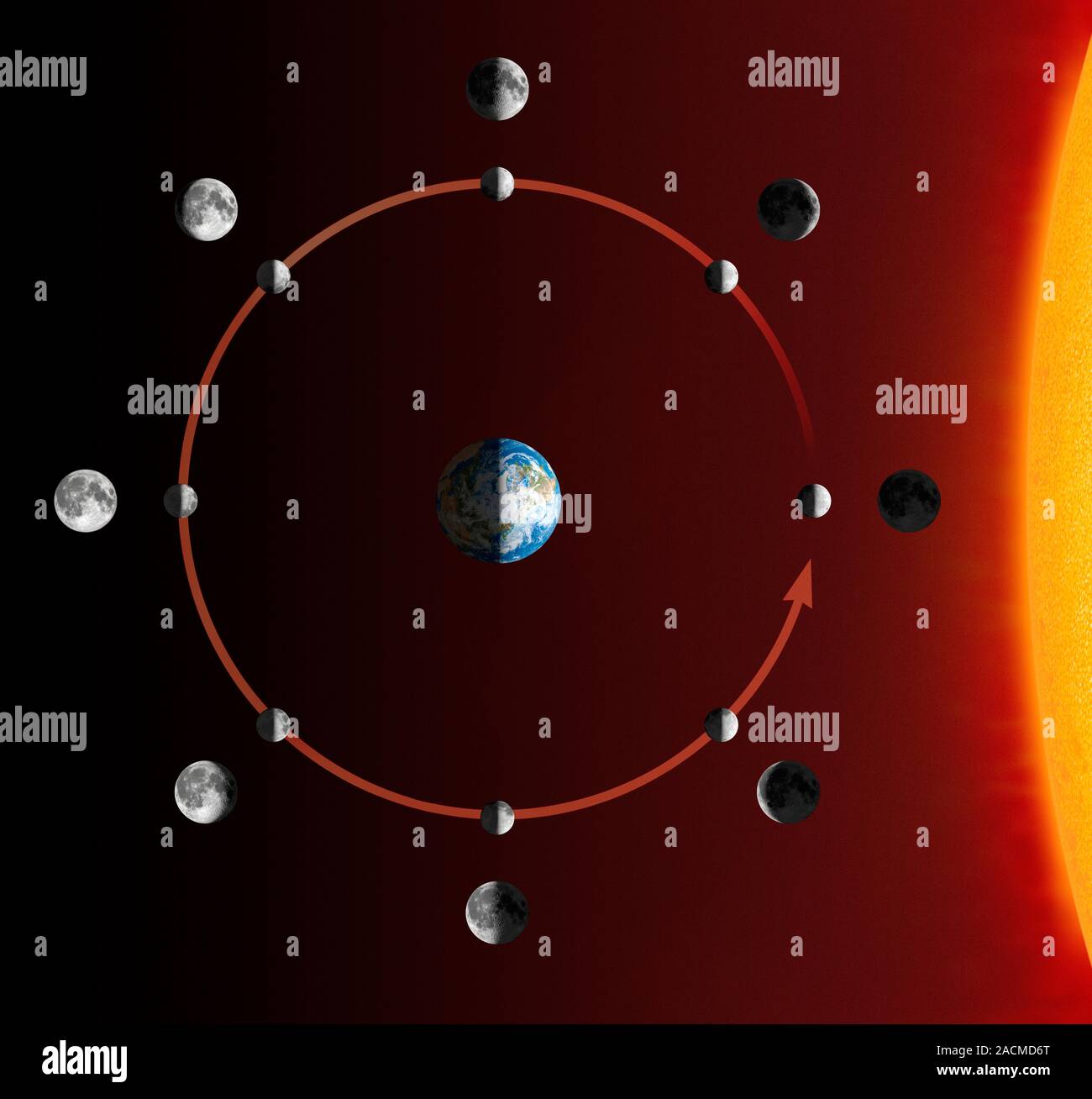 Phases of the Moon, computer illustration. As the Moon orbits the Earth ...