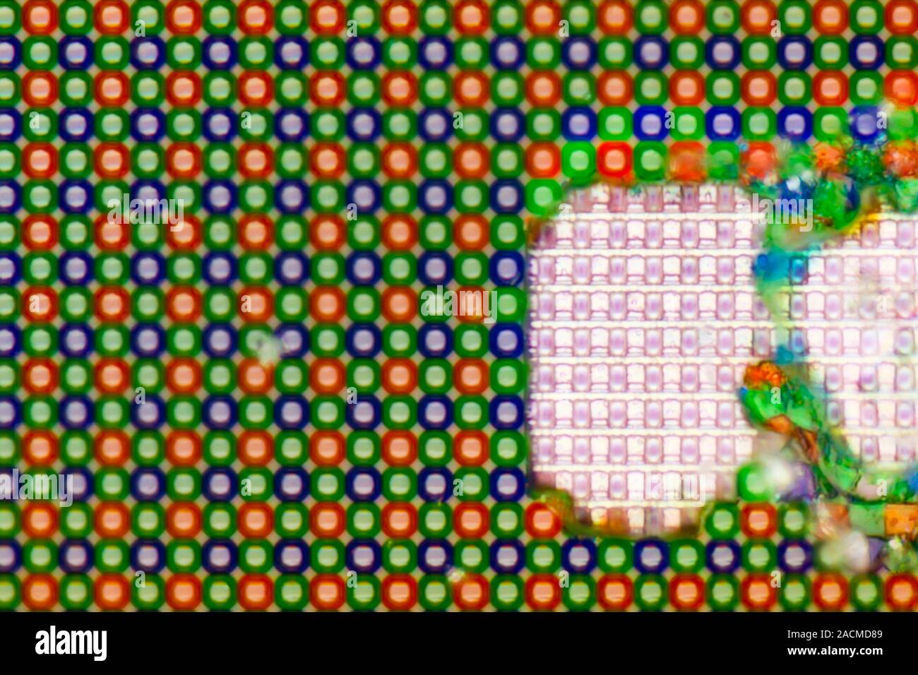 CCD camera sensor. Light micrograph showing the pixels on the surface ...
