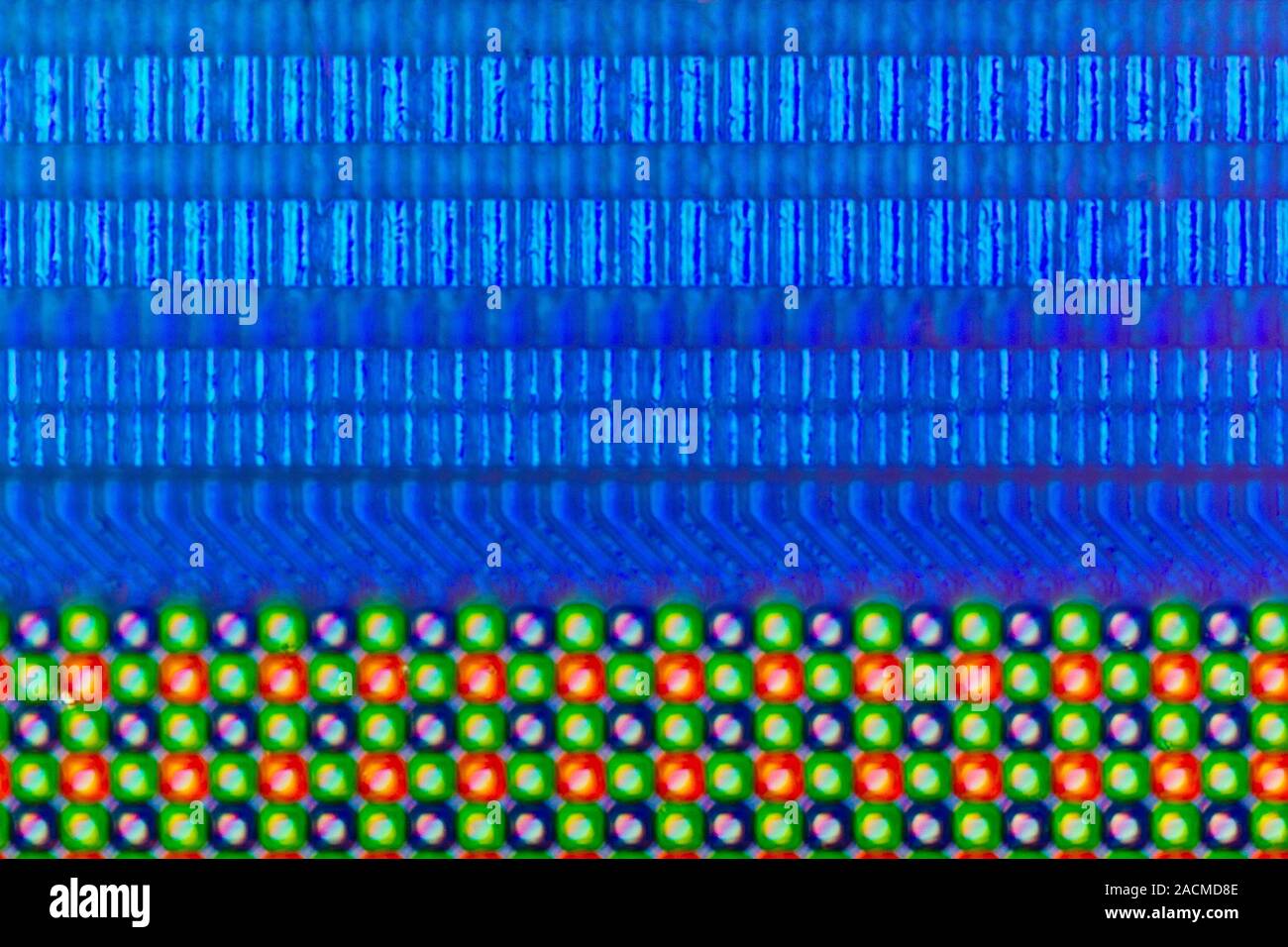 CCD camera sensor. Light micrograph showing the pixels (circular) on ...