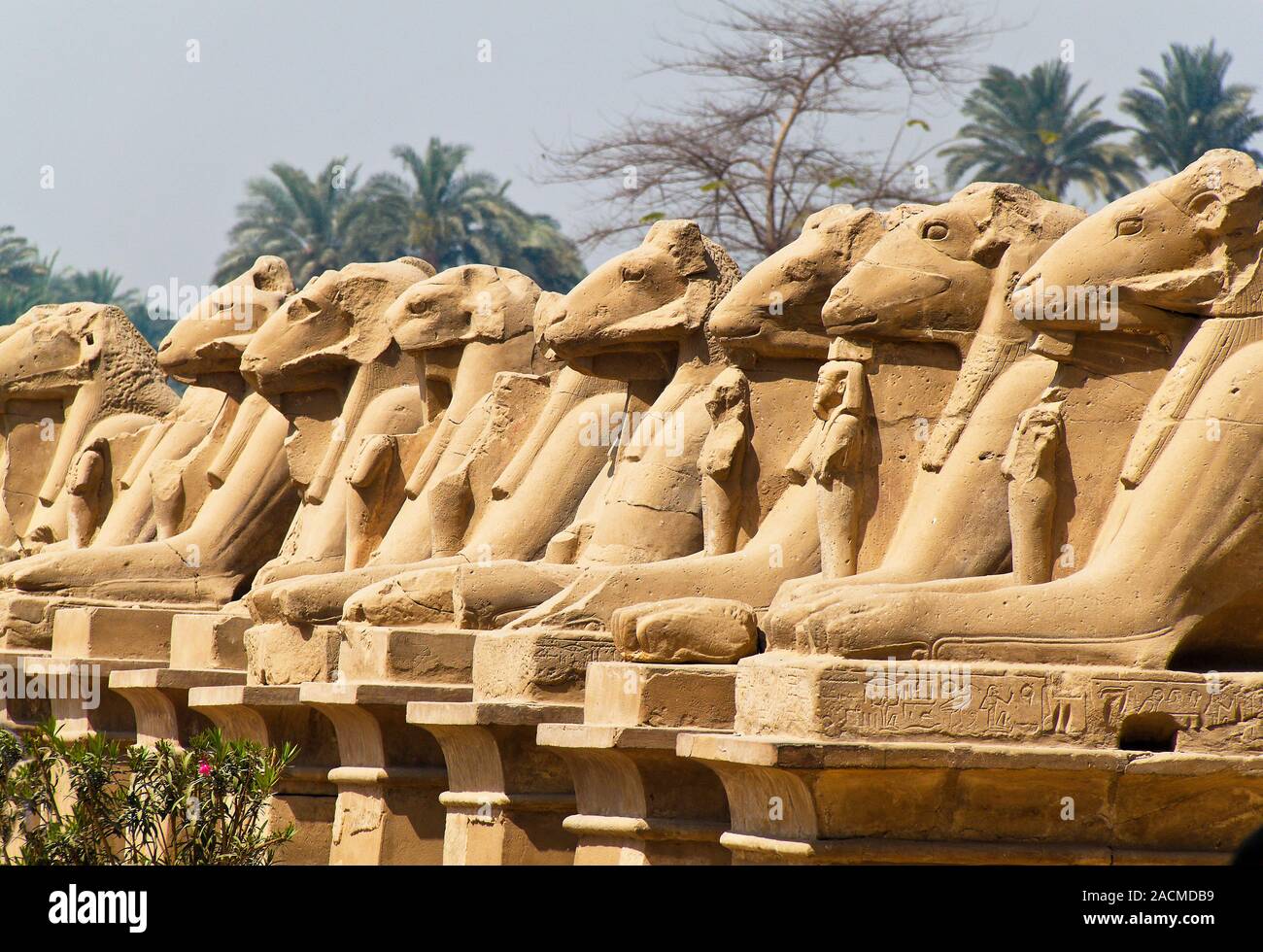 Egypt, Luxor, Karnak Temple Stock Photo - Alamy