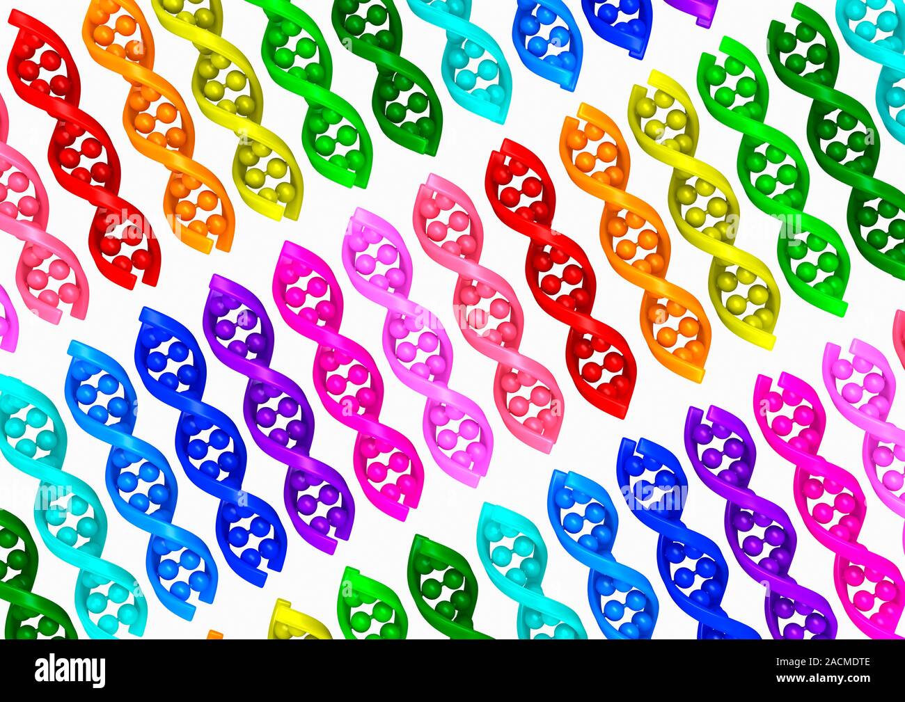 DNA molecules. Computer artwork showing rows of multi-coloured double ...