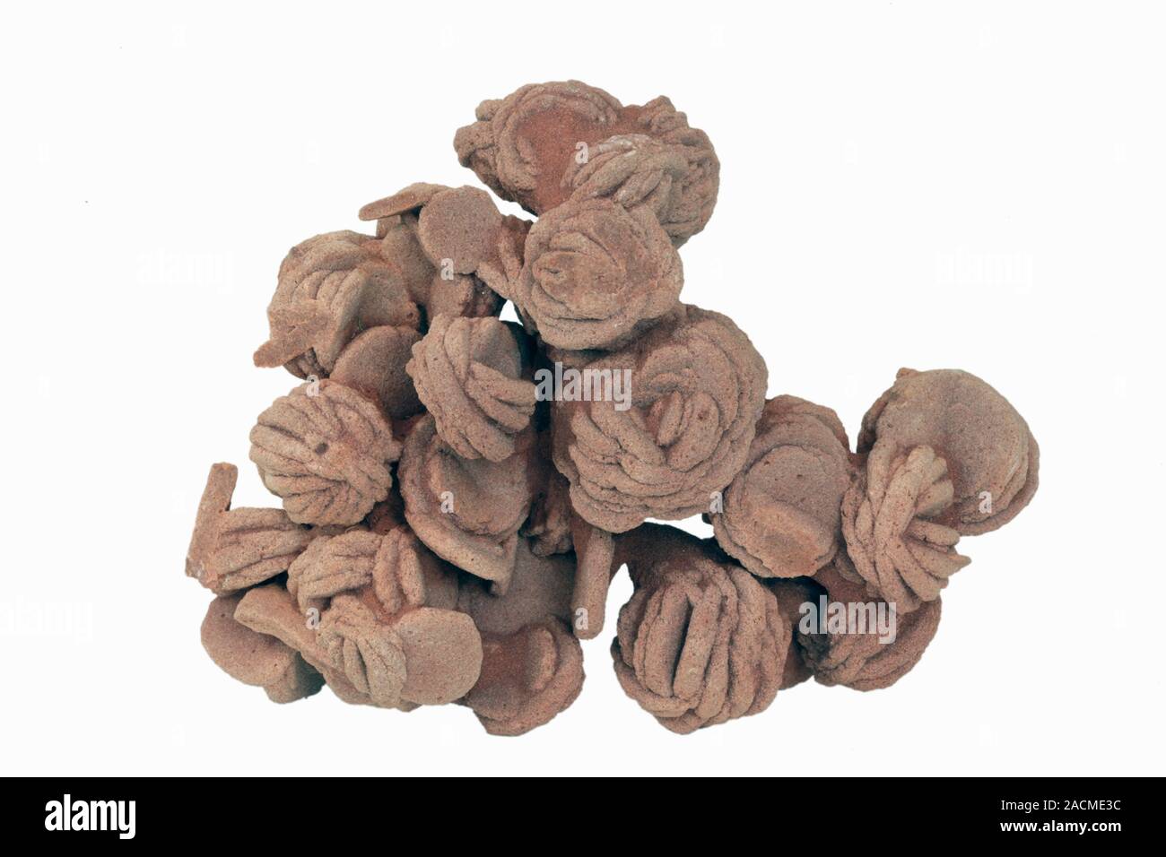 Barite Roses, Oklahoma, USA. Specimen courtesy JMU Mineral Museum Stock ... Barite Roses, Oklahoma, USA. Specimen courtesy JMU Mineral Museum Stock ...