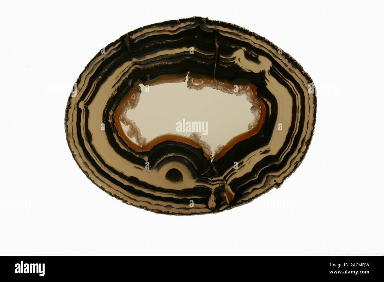 Agate geode slice, Brazil. Specimen courtesy JMU Mineral Museum Stock ...