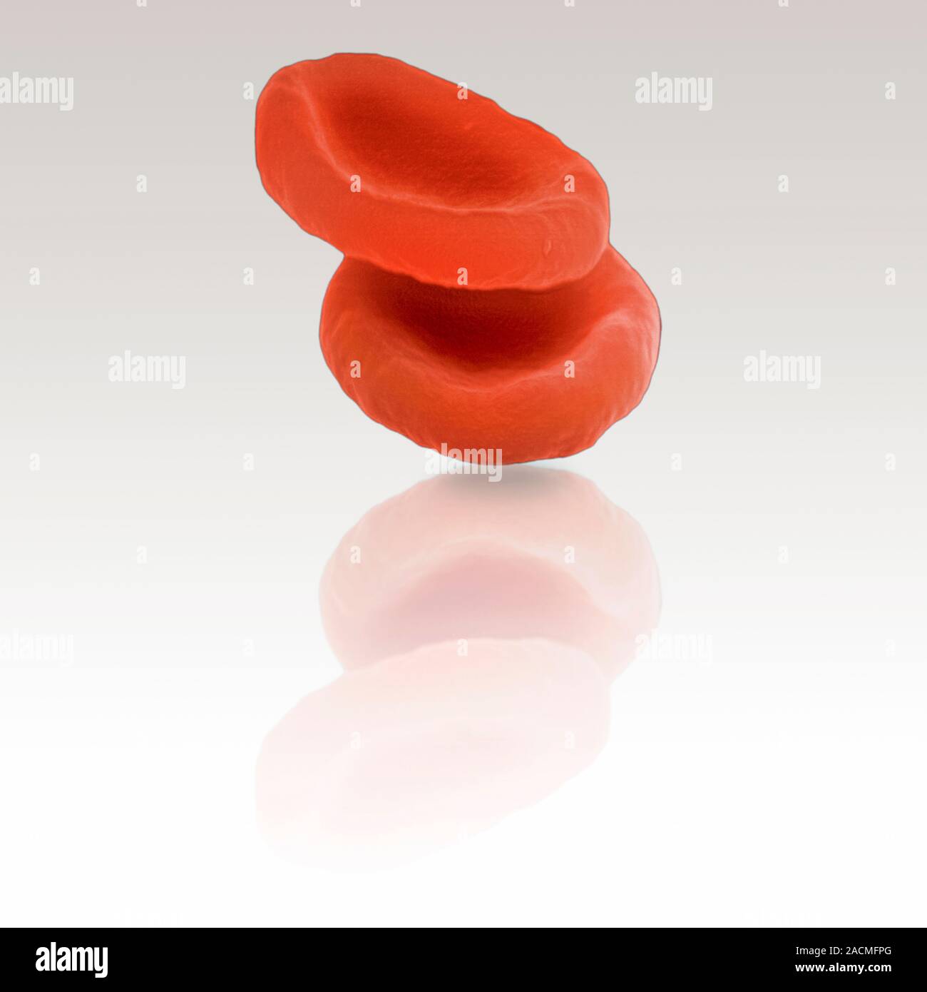 Red Blood Cells. SEM Stock Photo - Alamy