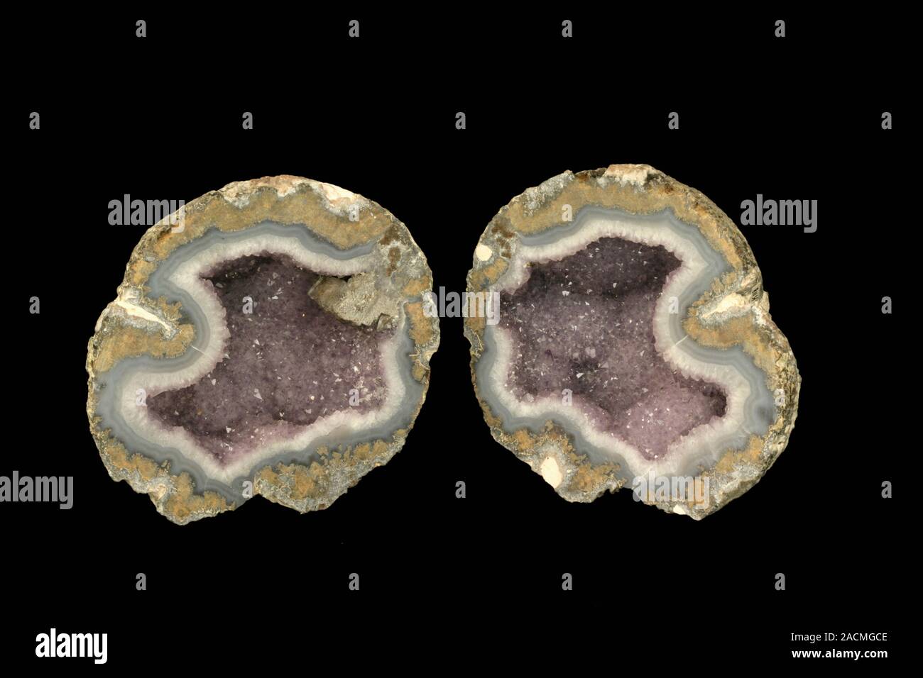 Amethyst Geode opened. Mexico. Specimen courtesy JMU Mineral Museum ...